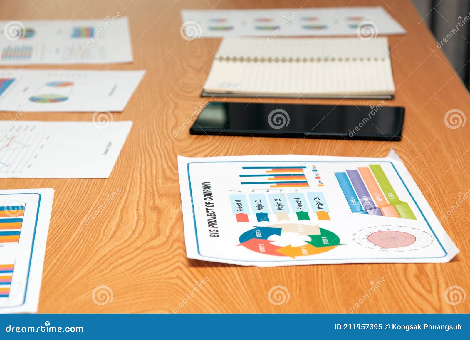 Close Up Sample Project Report Together with Other Chart and Tablet for ...