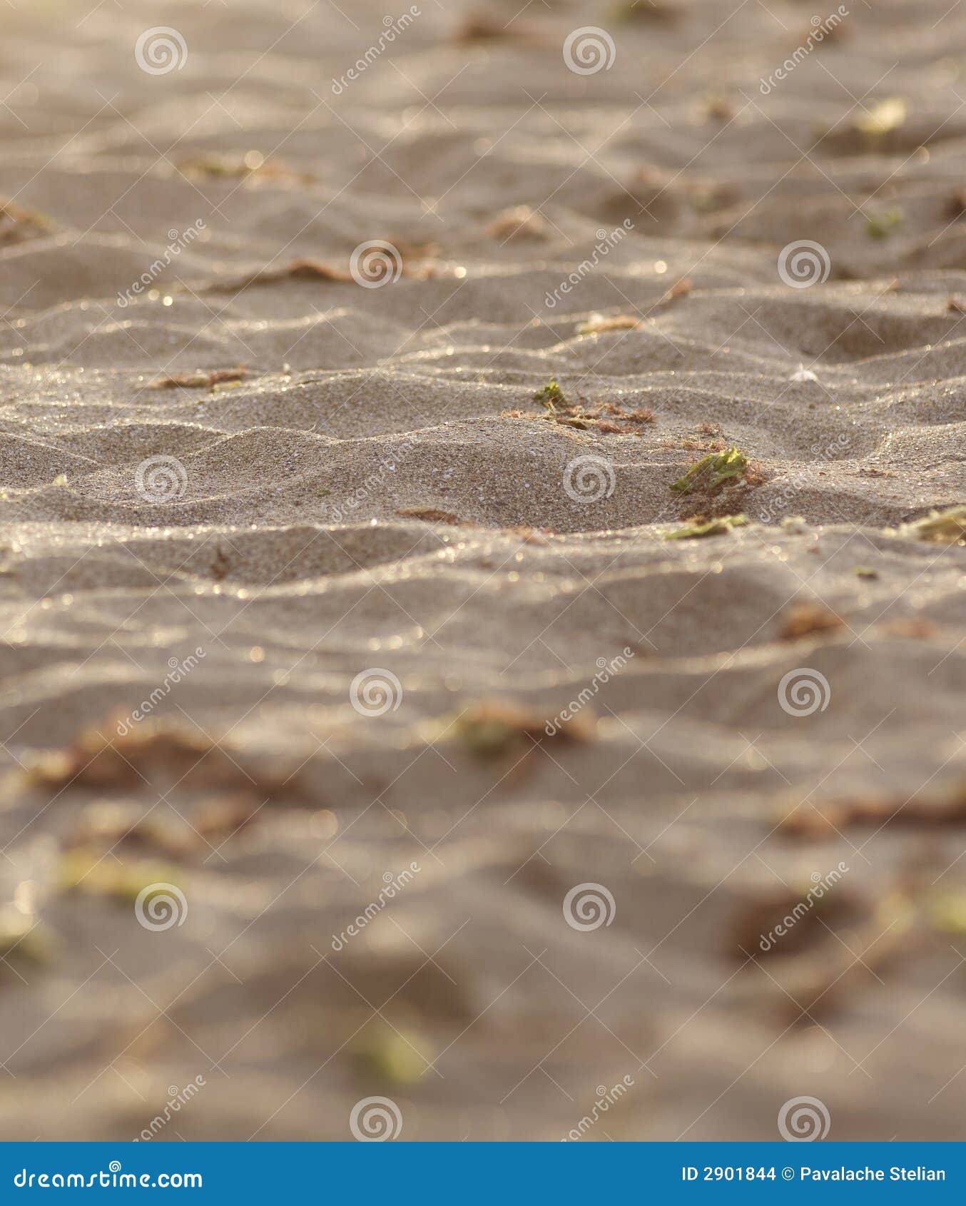 Close up of sand stock photo. Image of nature, beach, undulating - 2901844