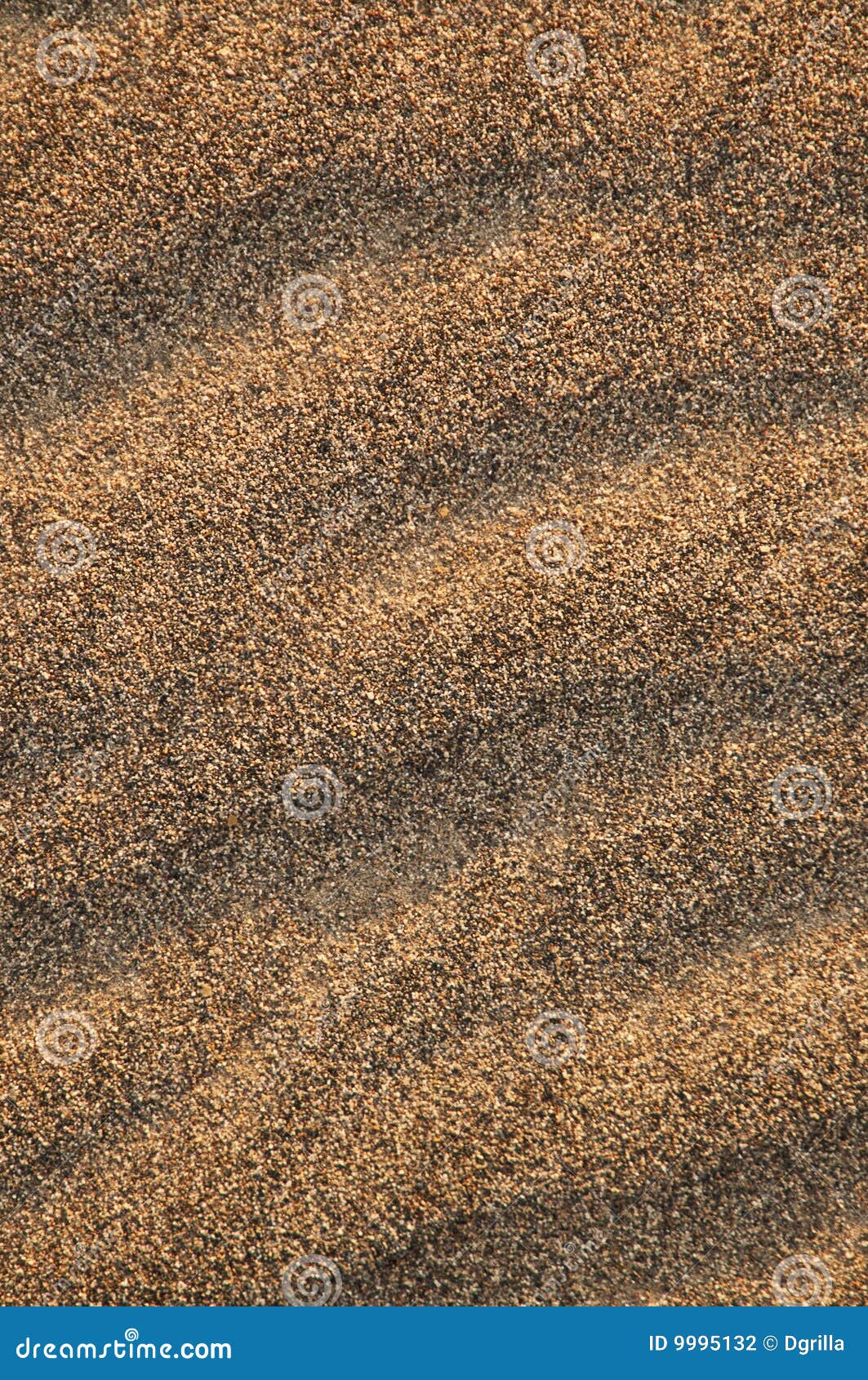 Close up of sand stock photo. Image of death, places, life - 9995132
