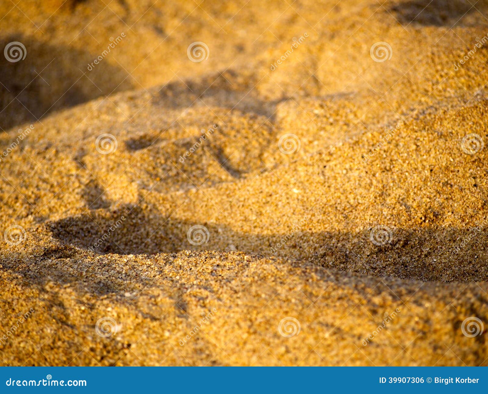 Close-up of Sand on the Beach Stock Photo - Image of detail, warm: 39907306