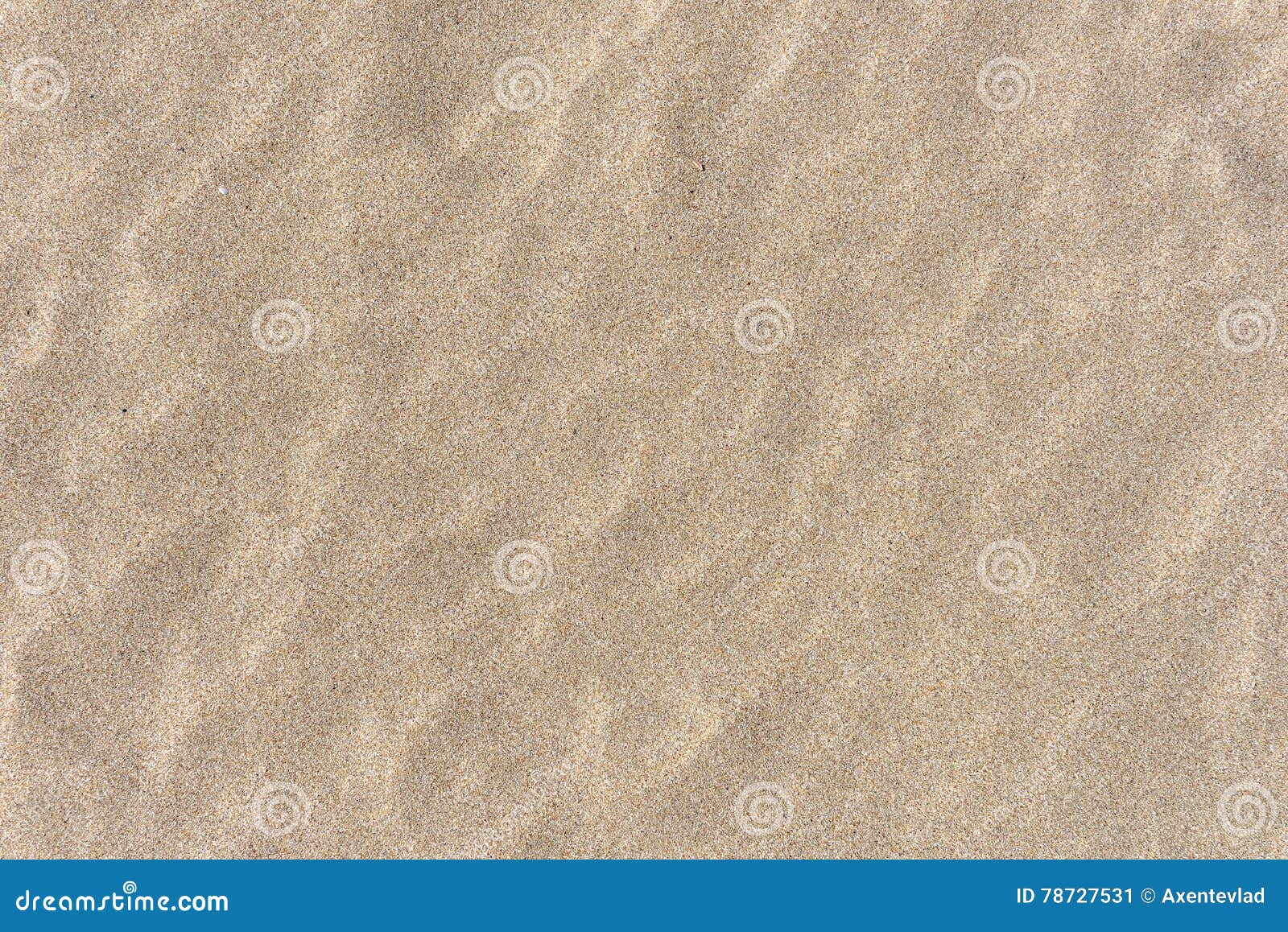 Close Up of Sand on a Beach, Sandy Beach Background Stock Image - Image ...