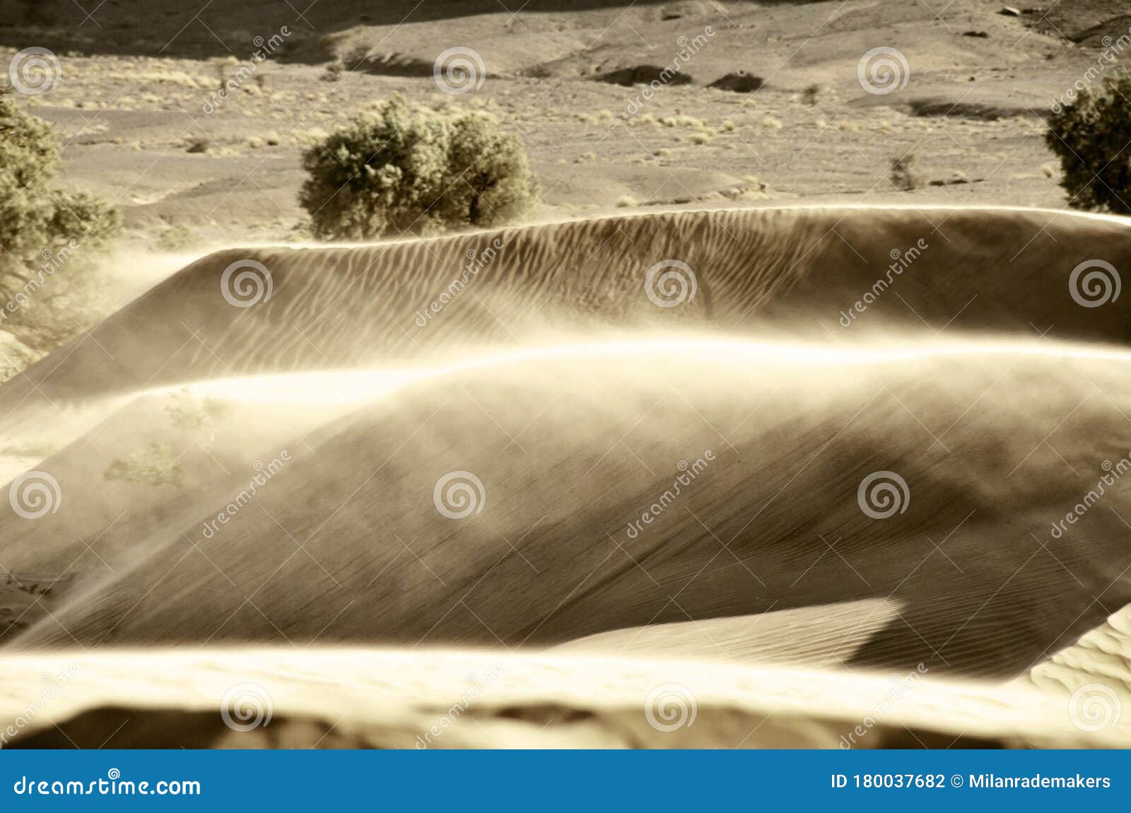 Close Up of Sand Blowing Over a Dune in the Desert Stock Photo - Image ...