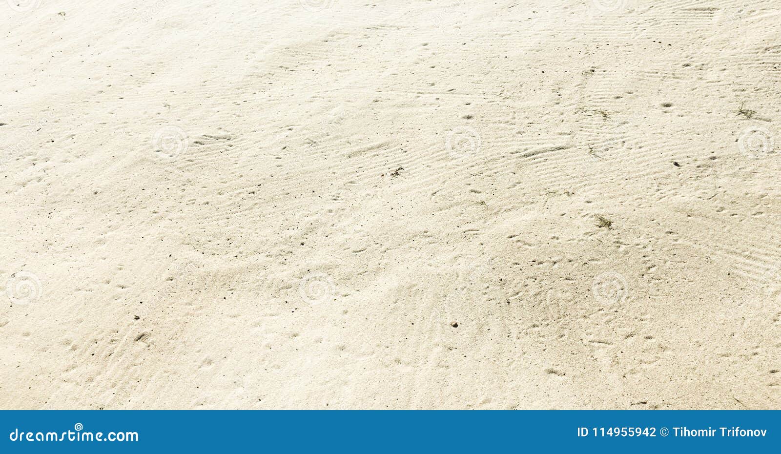 Close Up Sand Bunker on the Beautiful Golf Course. Sport Golf Icon on ...