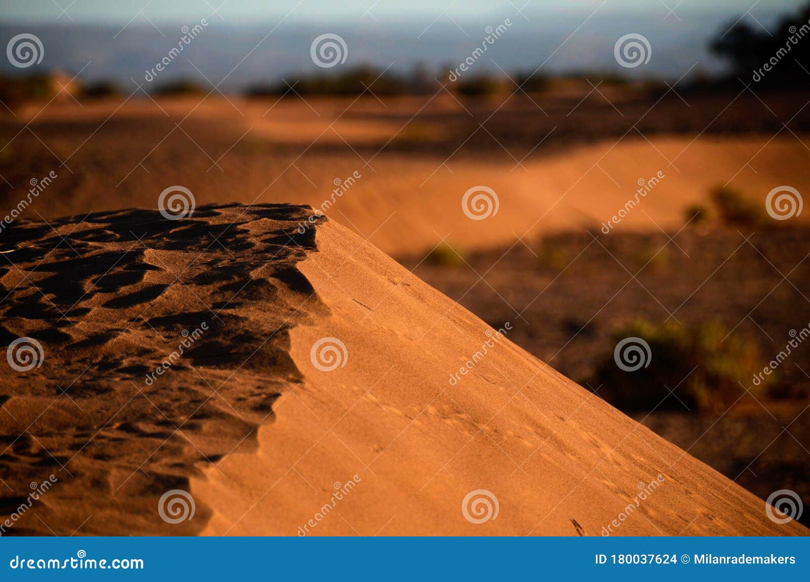 Close Up of a Sand Dune Edge in the Desert Stock Photo - Image of ...