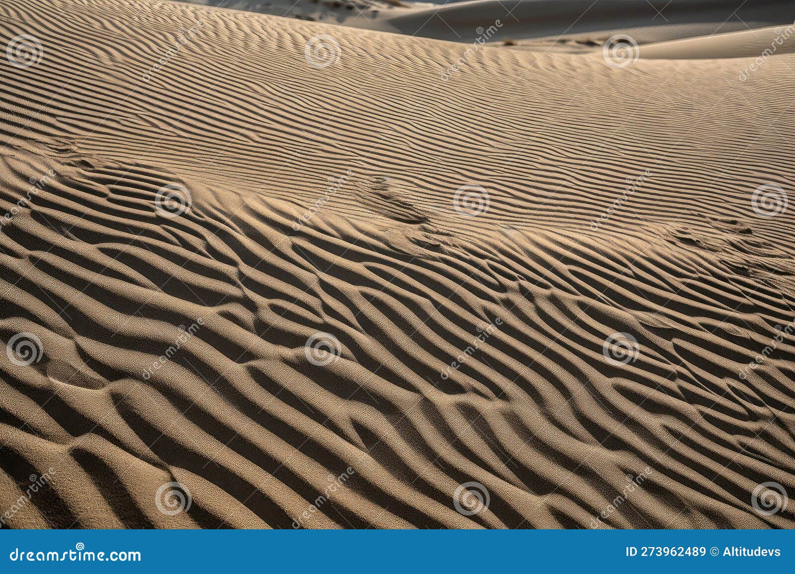 Close-up of Sand Dune with Intricate Pattern and Texture Stock ...