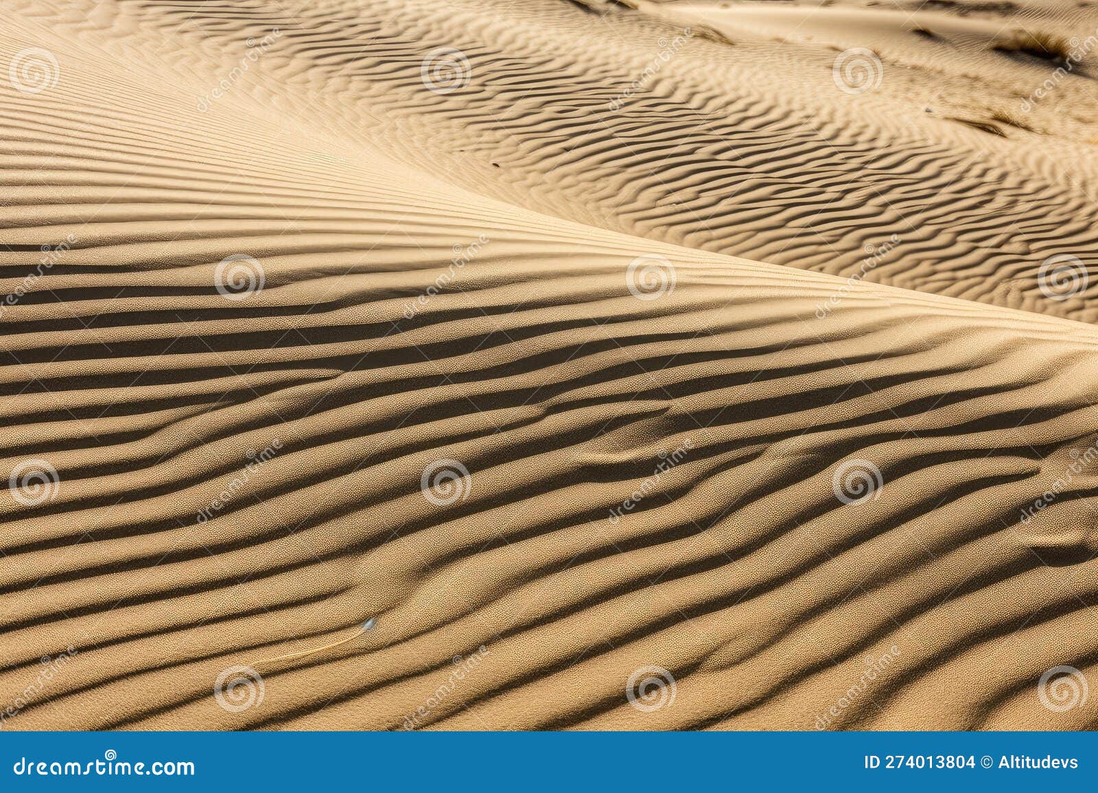 Close-up of Sand Dune, with the Wind Creating Undulating Patterns Stock ...