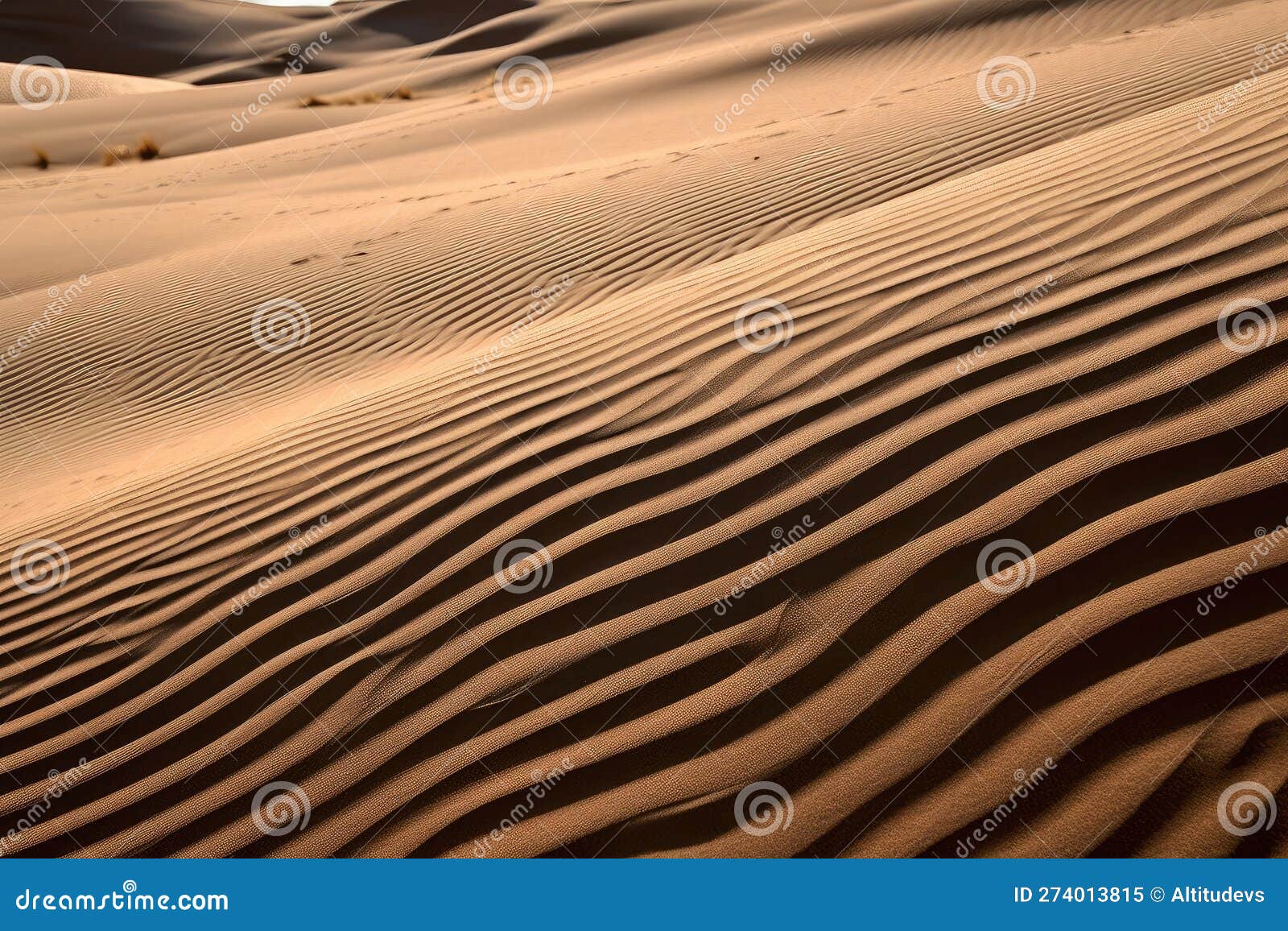 Close-up of Sand Dune, with the Wind Creating Undulating Patterns Stock ...