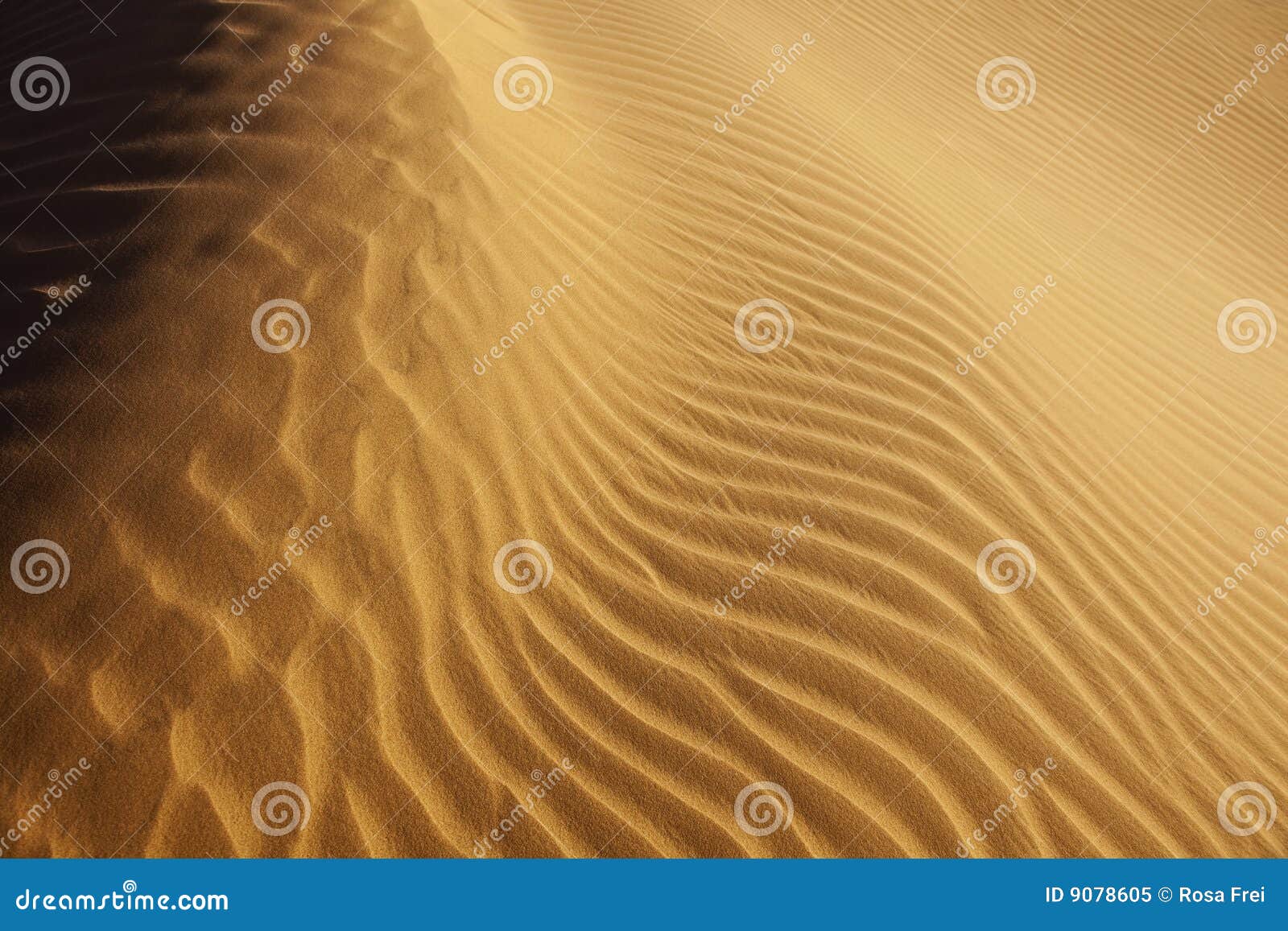 Close-up of Sand Pattern in the Desert Stock Image - Image of dryness ...