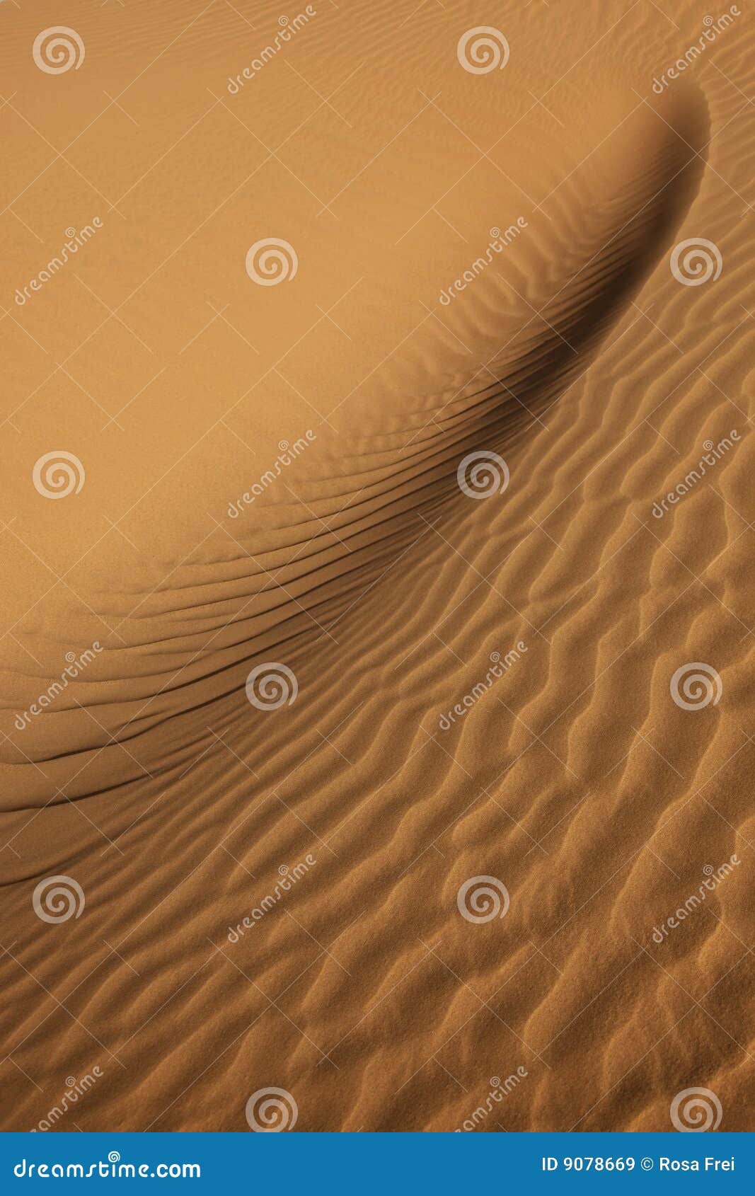 Close-up of Sand Pattern in the Desert Stock Image - Image of holiday ...