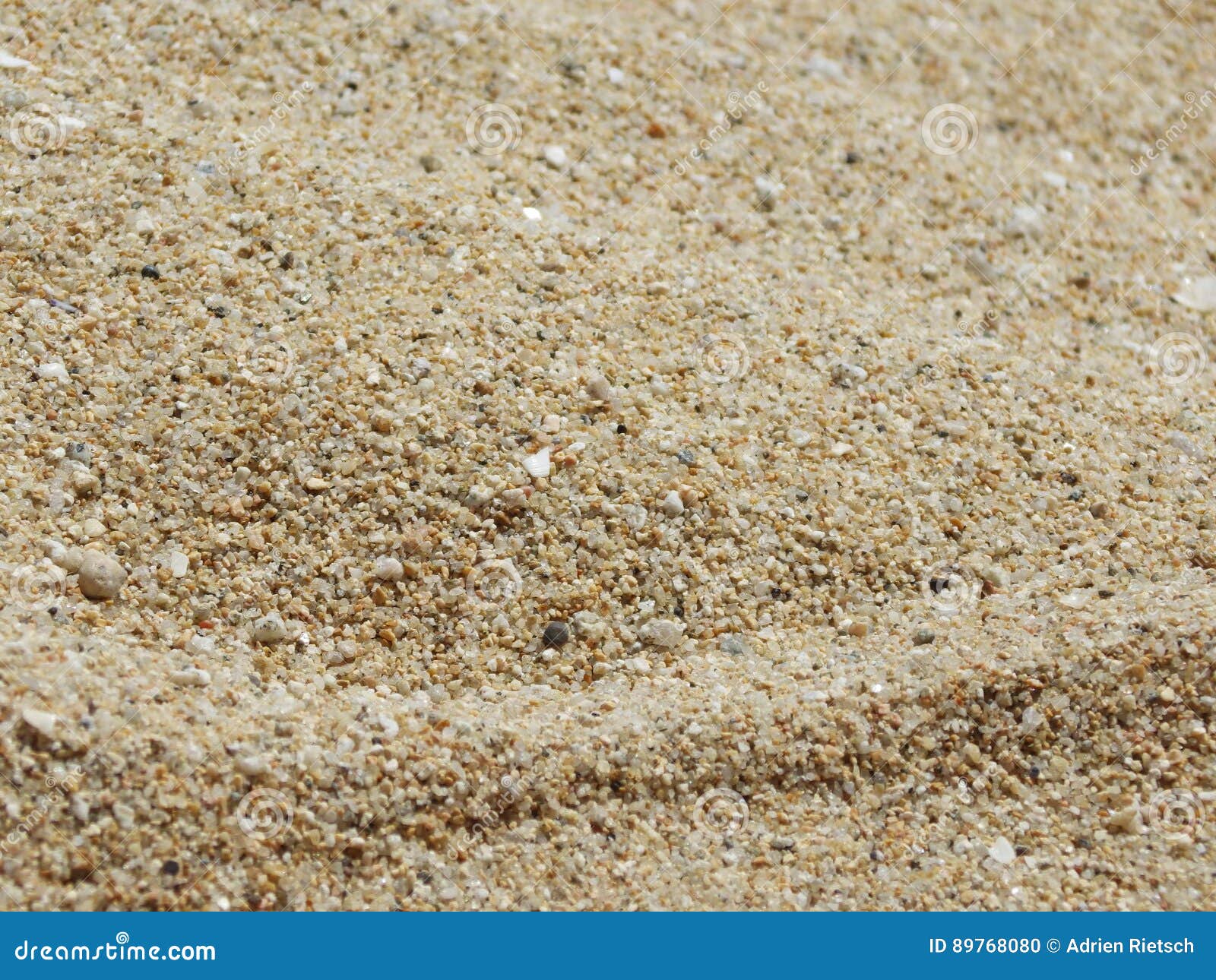 Close-up Sand / Sable stock photo. Image of gros, sable - 89768080