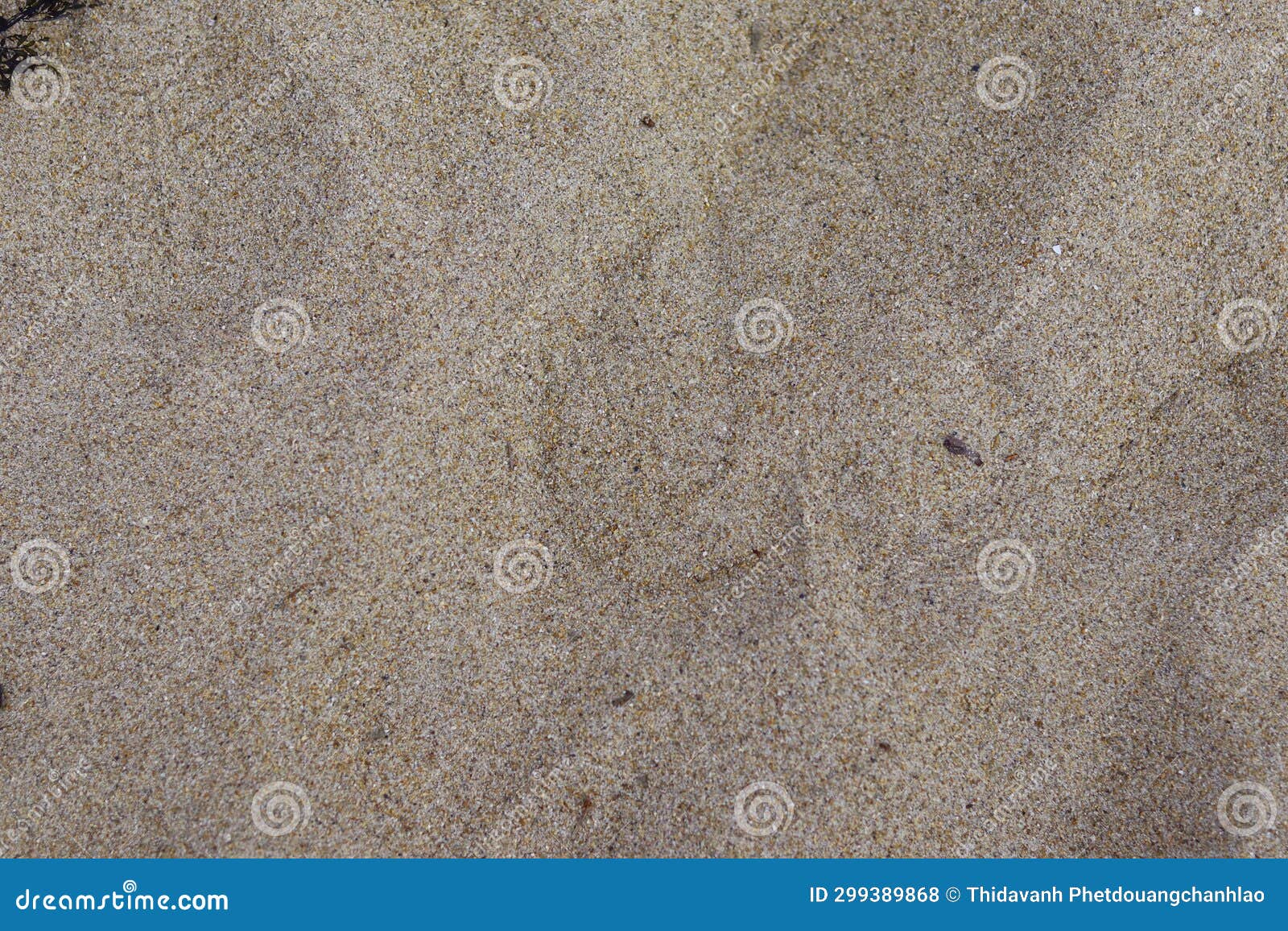 Close up of sand texture stock photo. Image of sand - 299389868