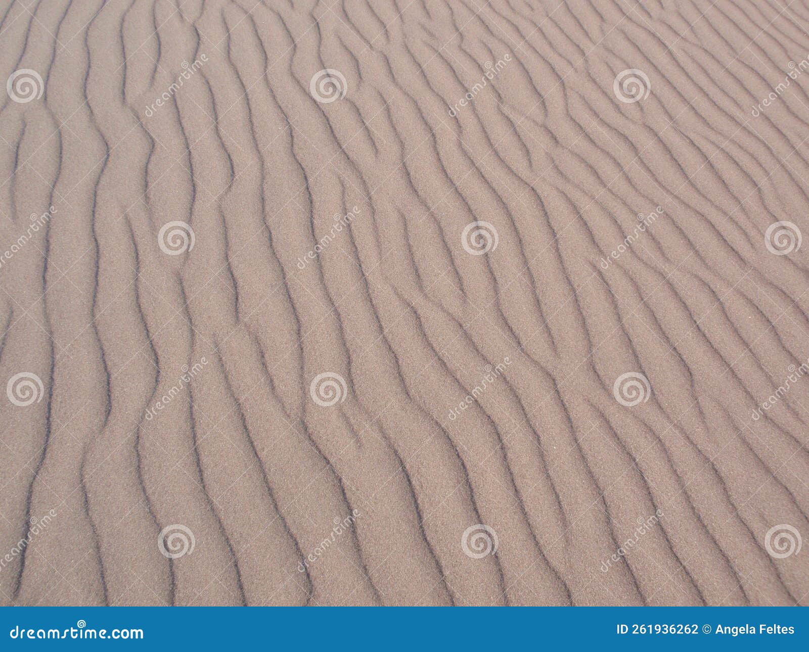 Close Up Sand Texture with Ripple Marks Stock Photo - Image of desert ...