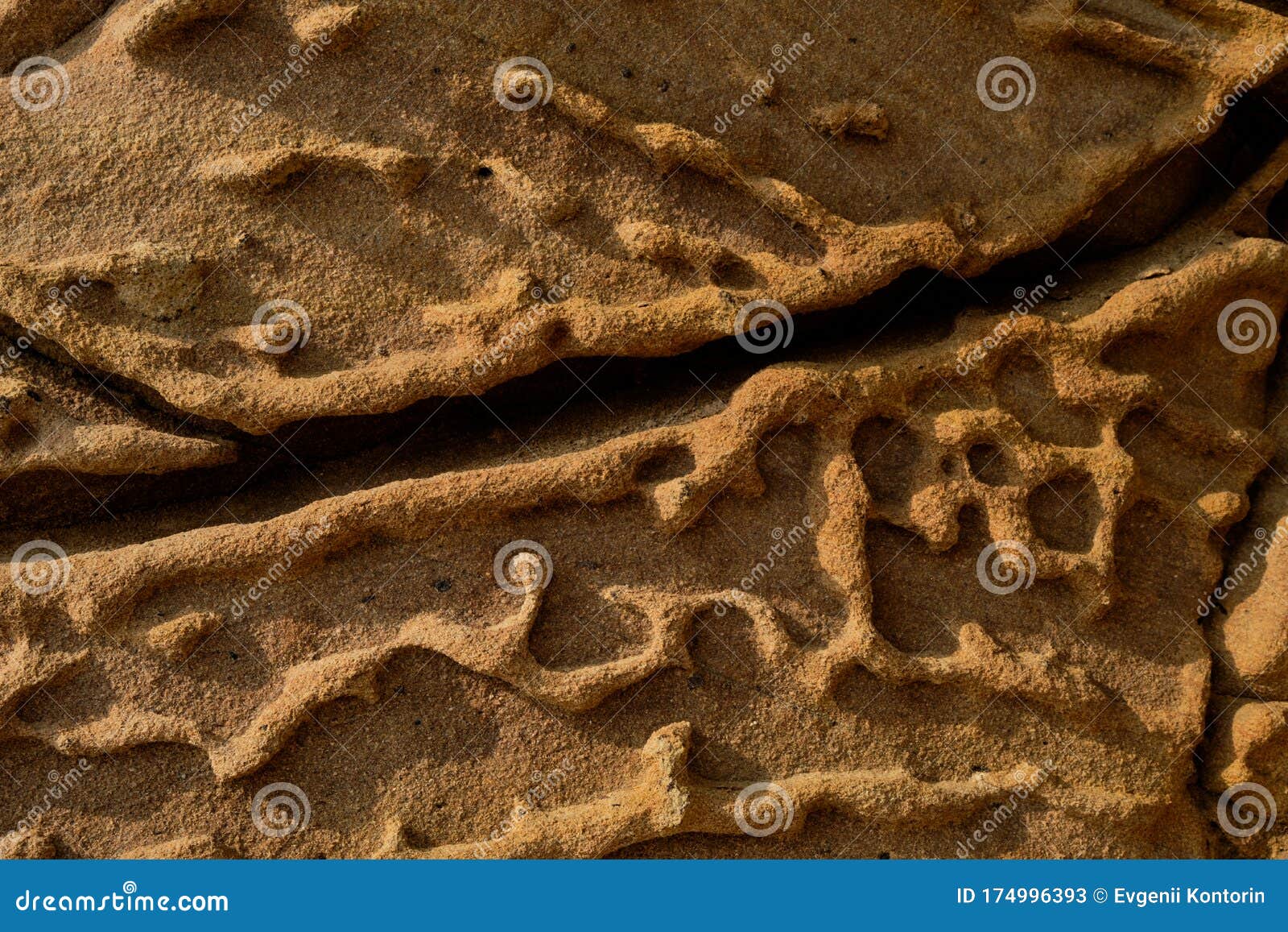 Close Up Sandstone Texture with Small Caverns, Natural Surface Divided ...
