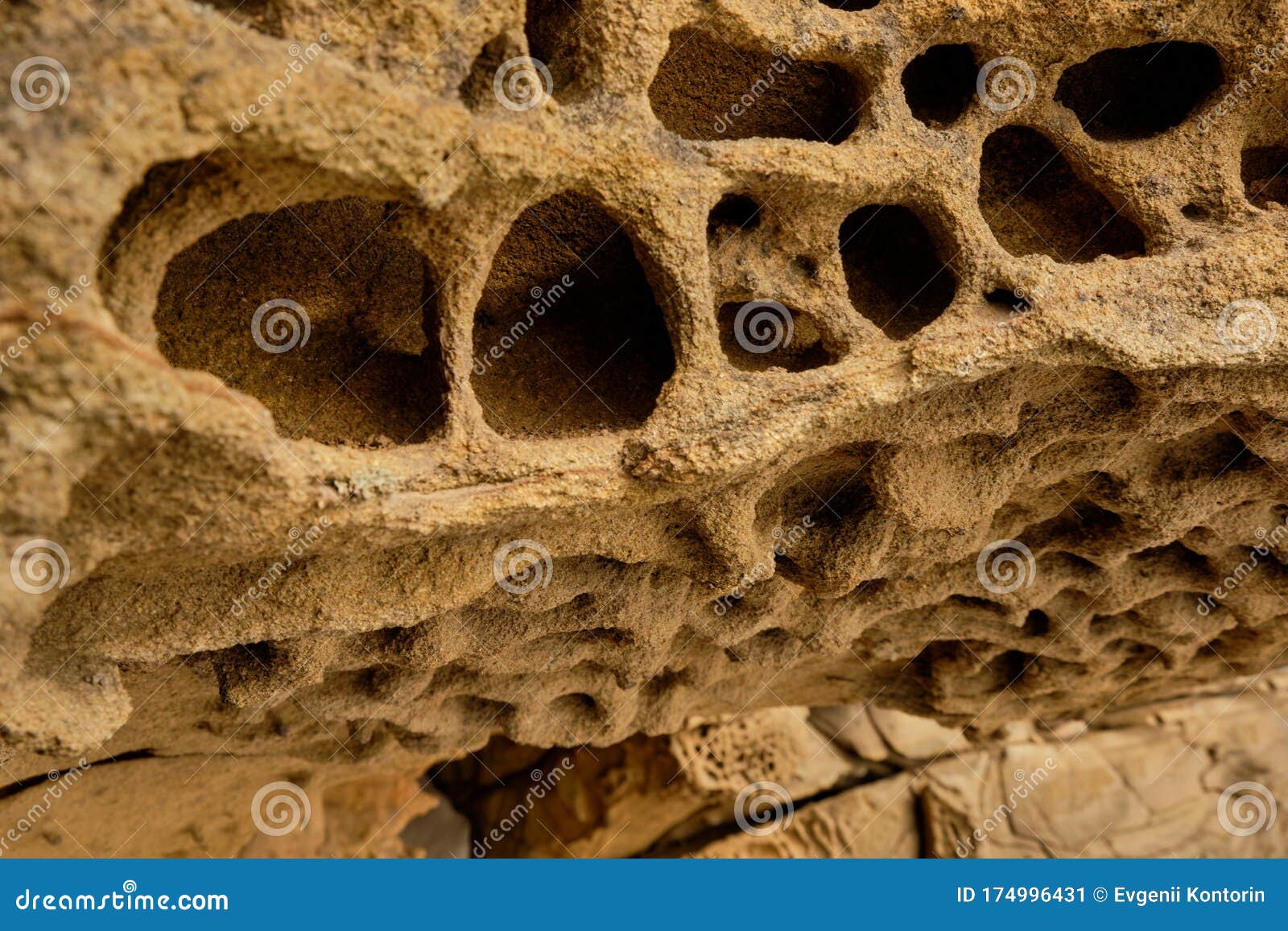 Close Up Sandstone Texture with Small Caverns, Natural Surface Divided ...