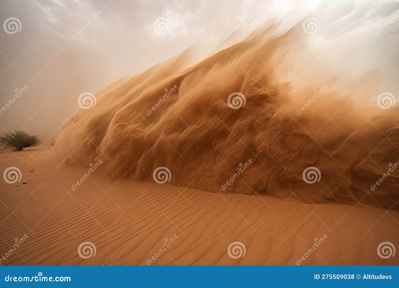 Close-up of Sandstorm, with Grains Flying Past the Camera Stock Photo ...