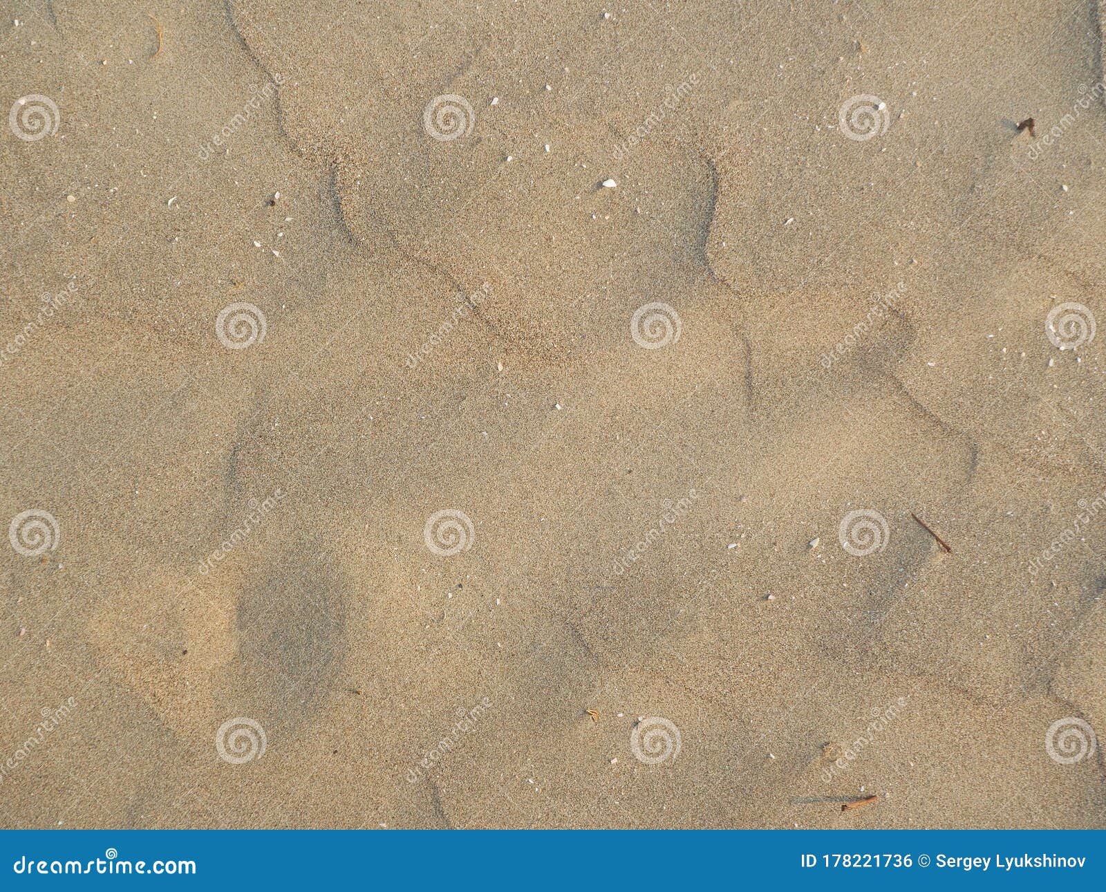 Sandy beach texture stock photo. Image of coast, golden - 178221736