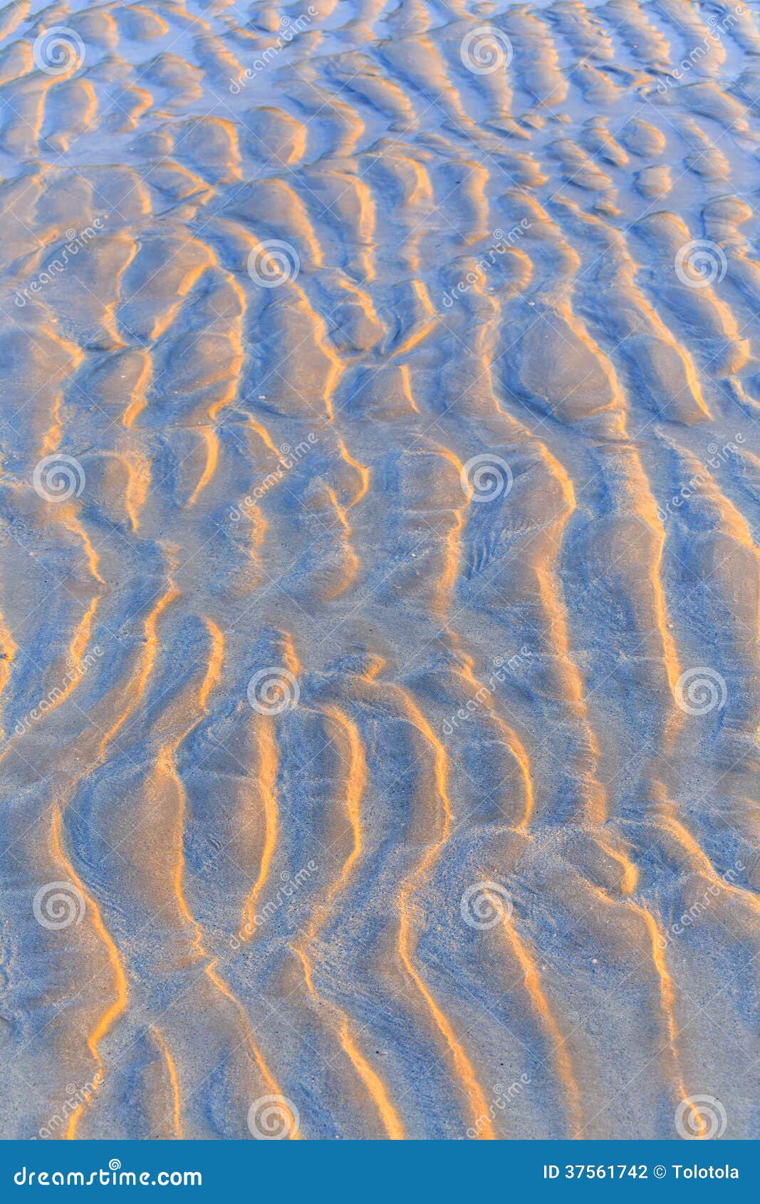 83,325 Sandy Beach Texture Stock Photos - Free & Royalty-Free Stock ...