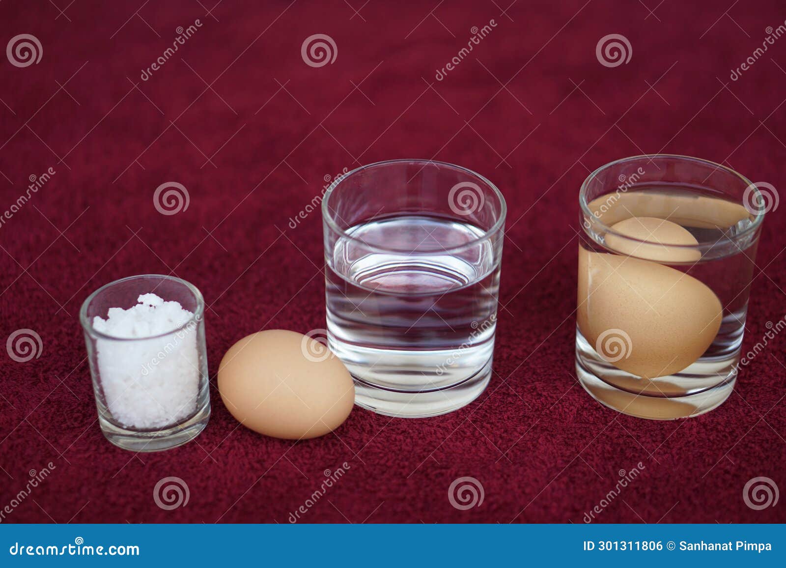 Science Experiment about Eggs in Water Stock Photo - Image of fresh ...