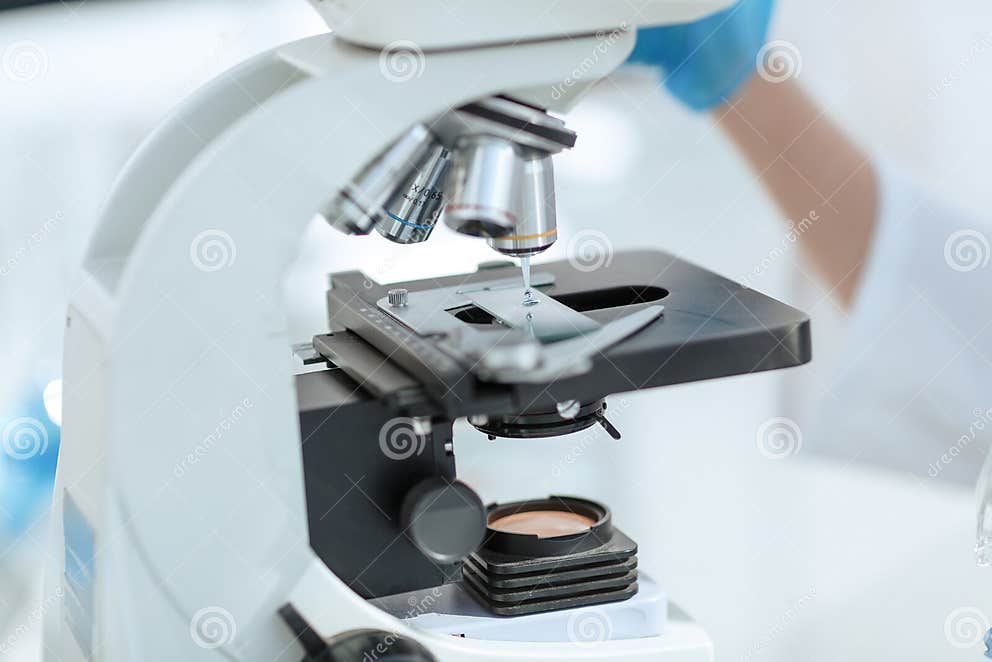 Close Up. Scientist Analyzing Microscope Slide at Laboratory Stock ...