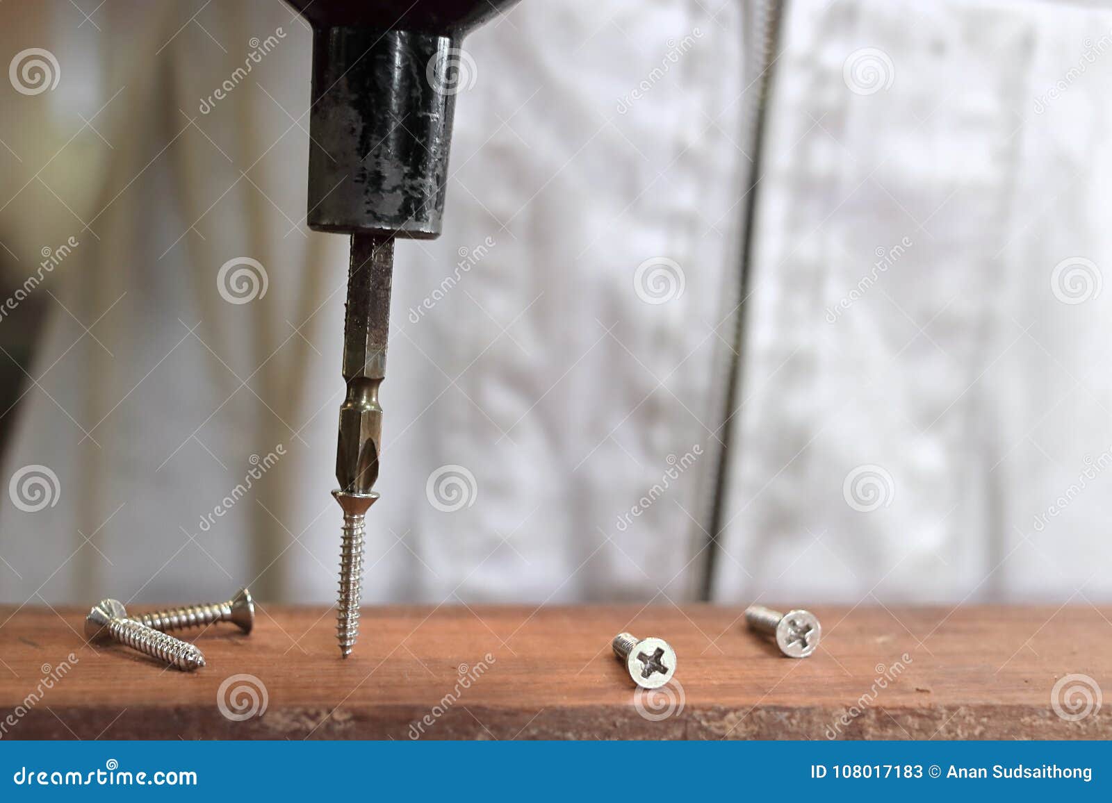 Close Up Screws with Electric Tool Working with Hands of Carpenter in ...