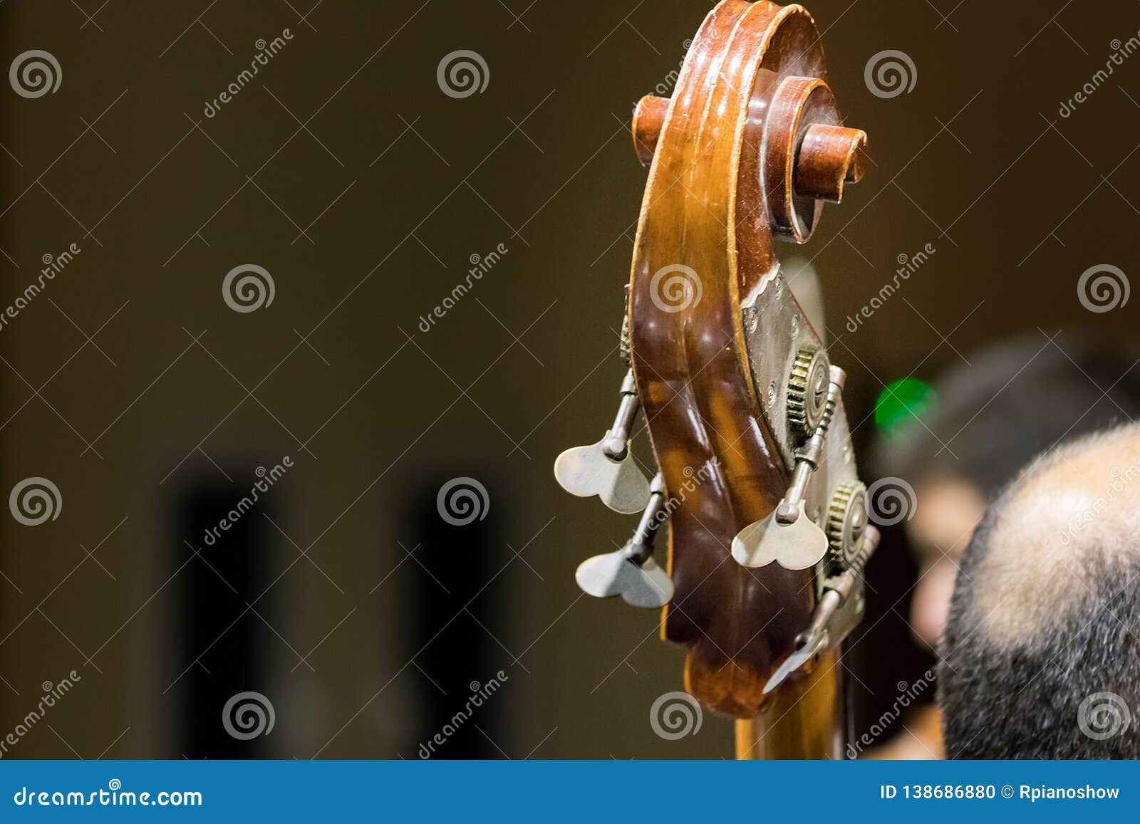 Close Up of the Scroll - Peg Box of a Cello during a Live Performance ...