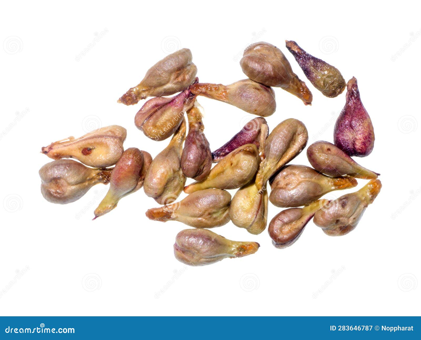 Close up seed of grape stock image. Image of healthy - 283646787