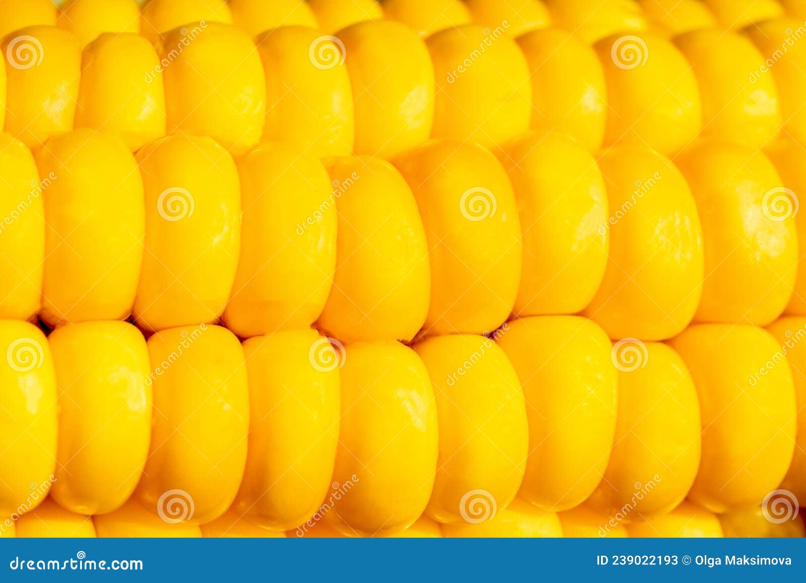 Close-up Seeds of Fresh Sweet Corn in a Row. Abstract Background and ...