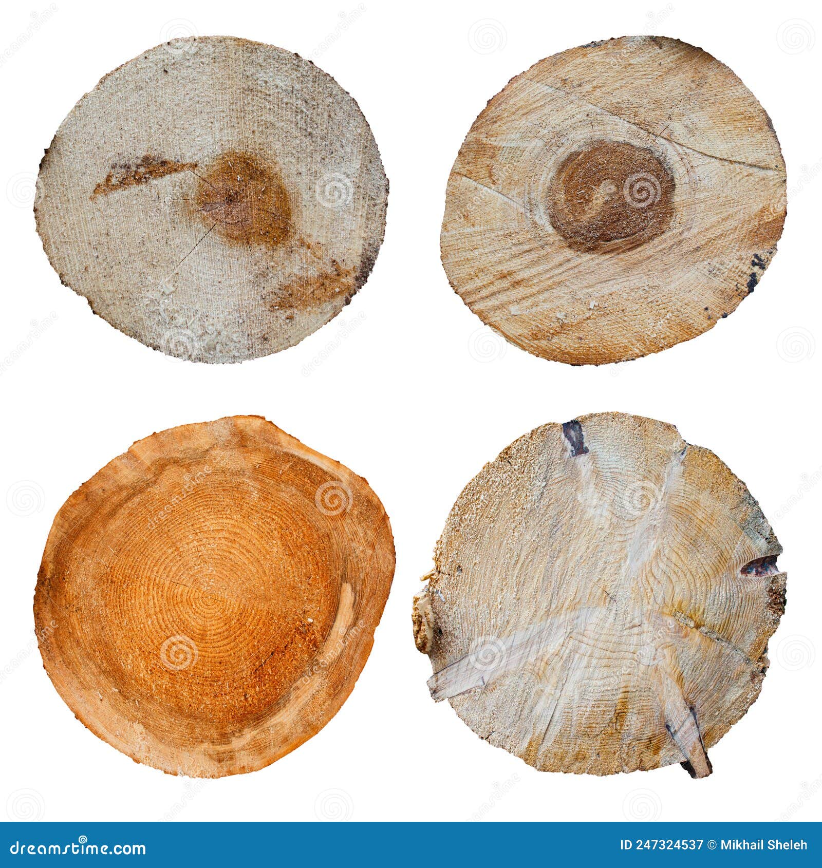 A Close-up Set of Cross-cutting Trees. the Texture is Sawn Wood on a ...