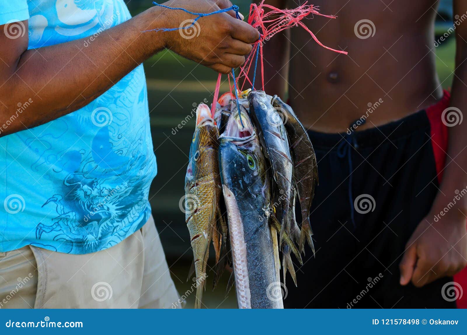 Catch of Fisherman on Thread Stock Photo - Image of fights, nylon ...