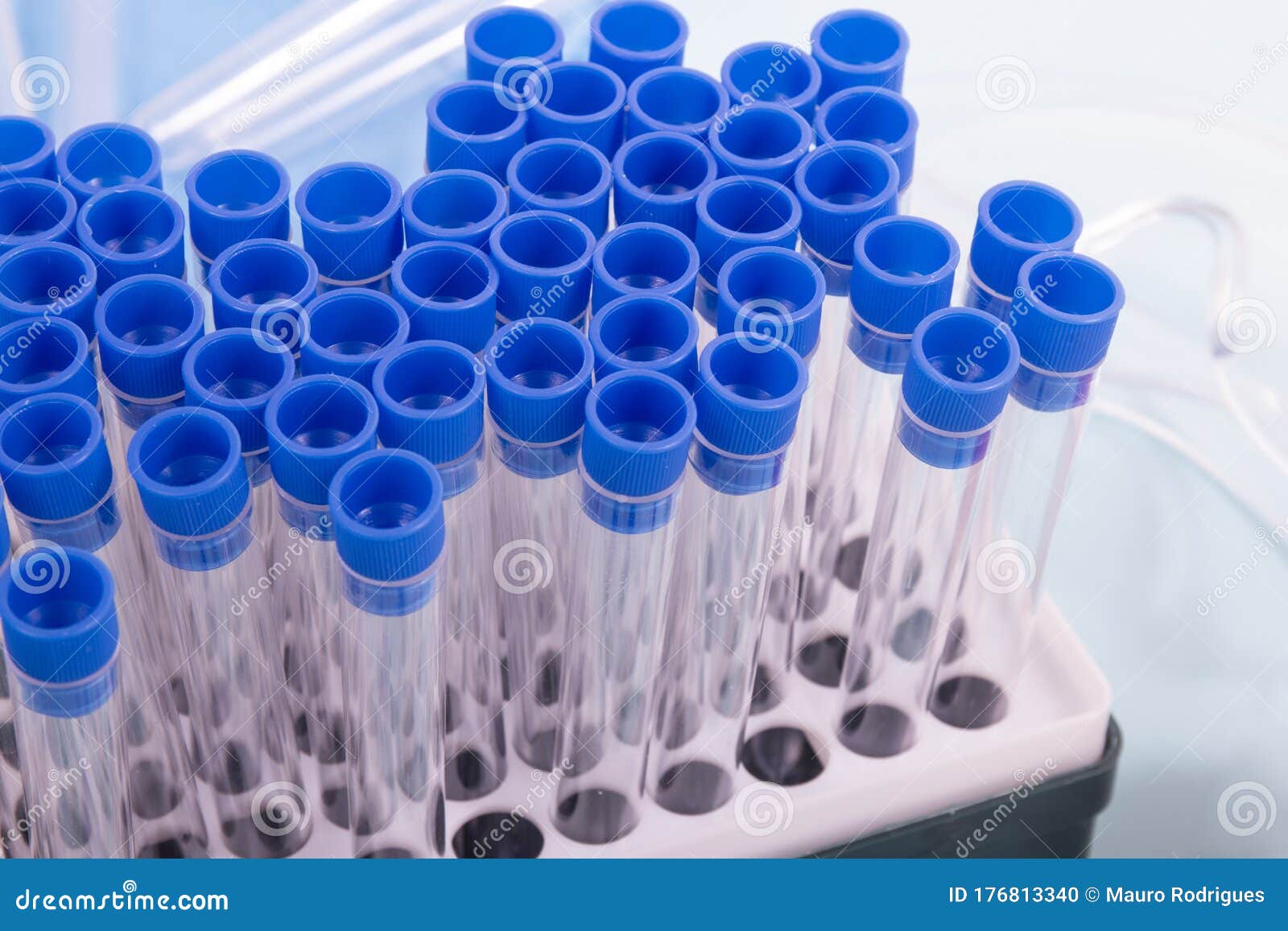 Several Laboratory Testing Tubes Stock Photo - Image of rack ...