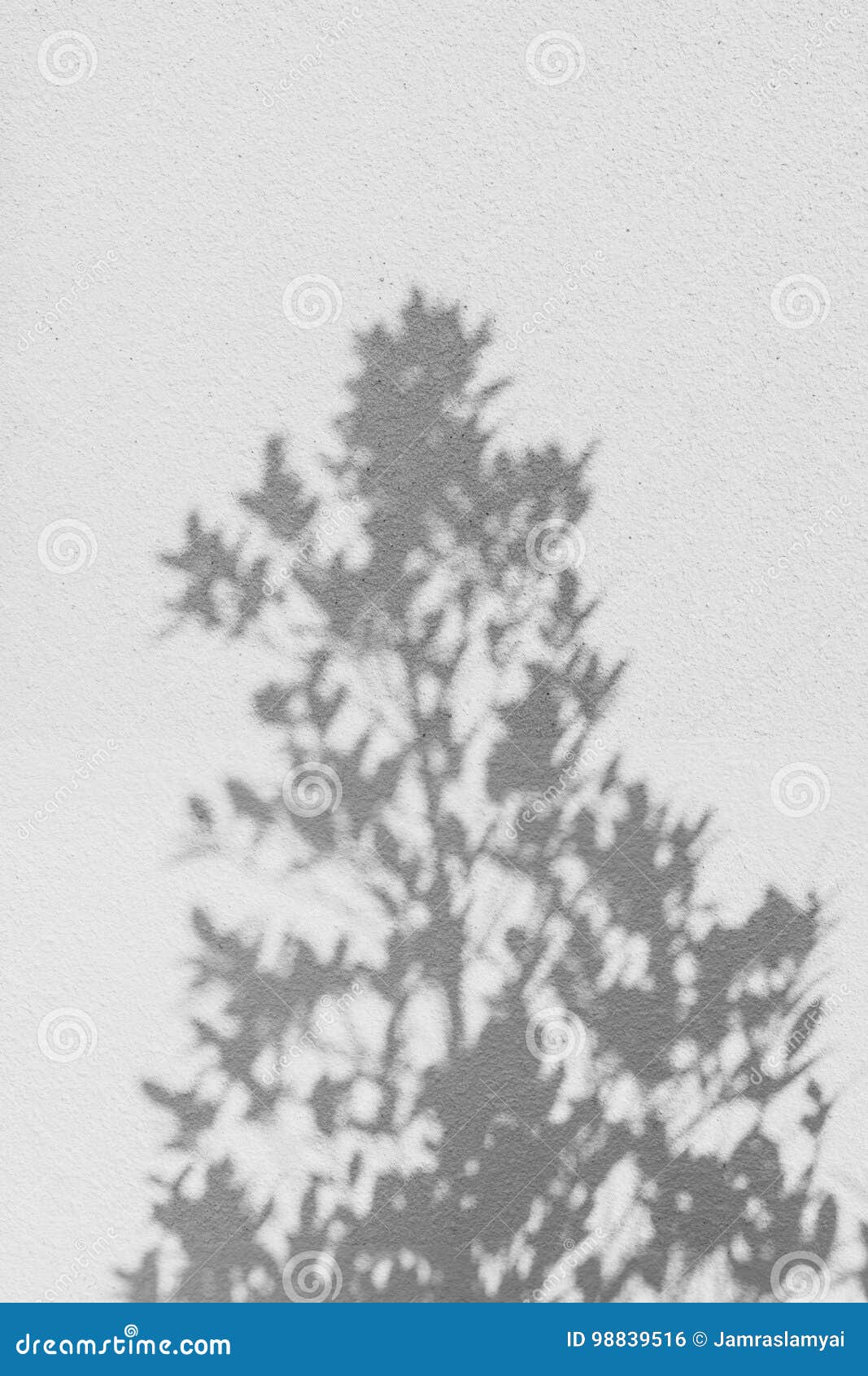 Shadows Leaf on a Gray Concrete Rough Texture Wall Stock Photo - Image ...