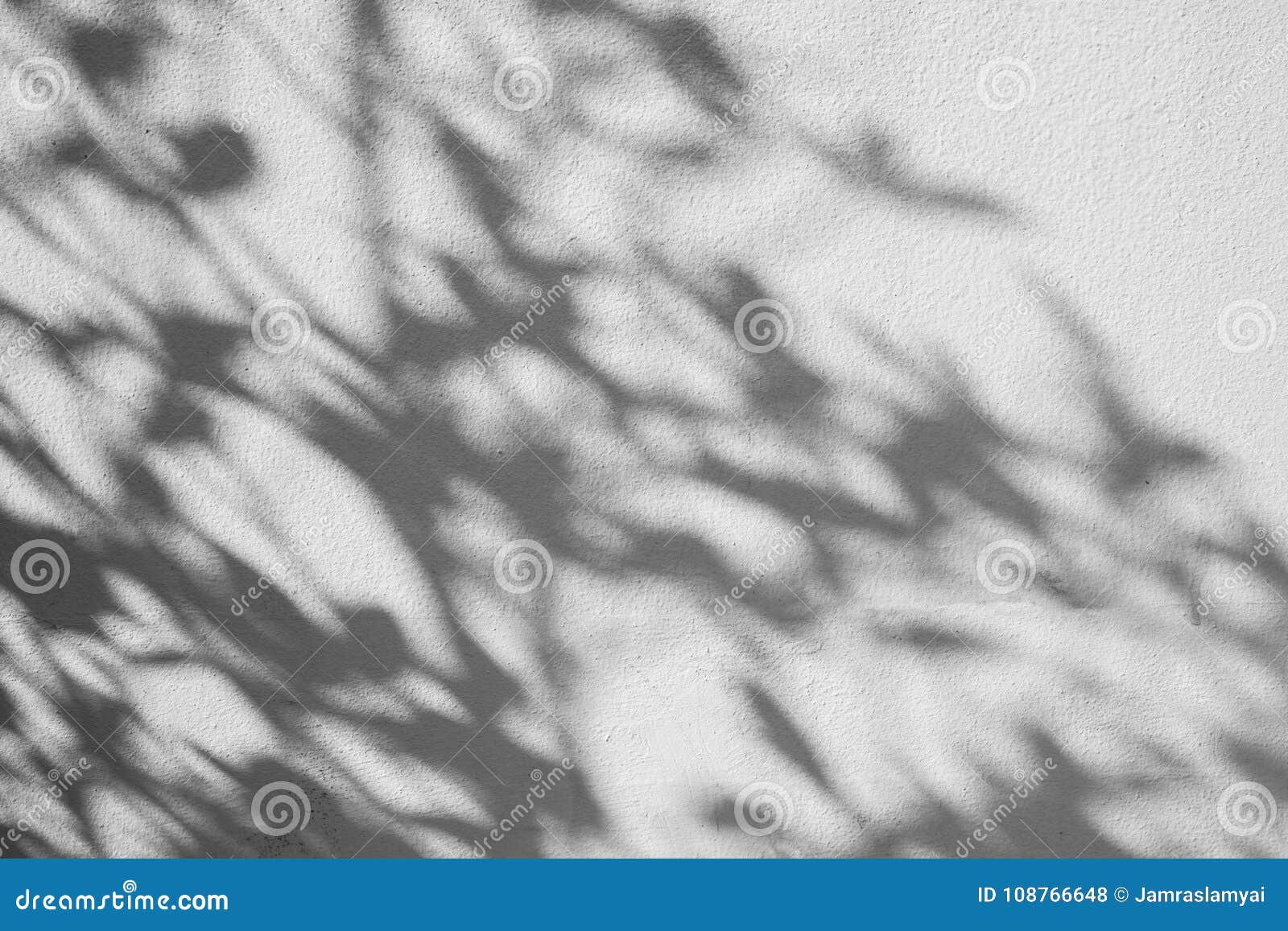 Shadows Leaf On A White Concrete Rough Texture Wackground Royalty-Free ...