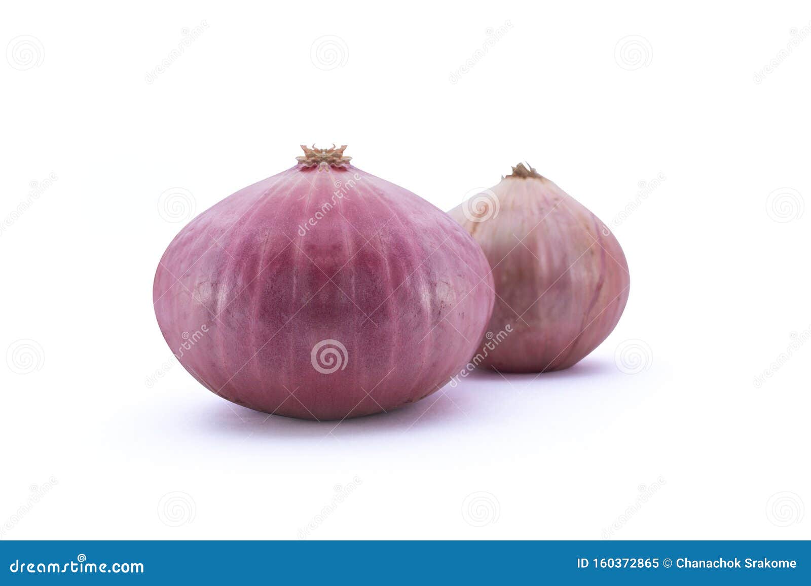 Close up shallots stock image. Image of food, intact - 160372865