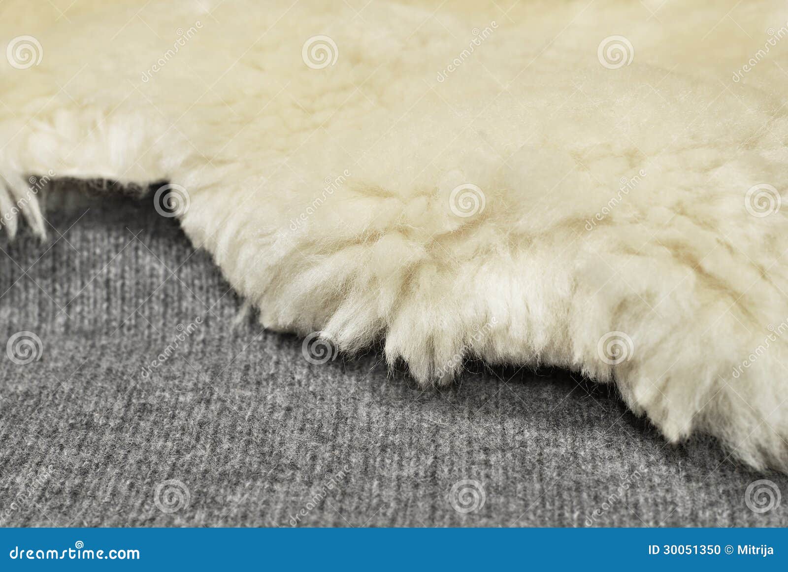 Sheep fur on wool texture stock photo. Image of material - 30051350