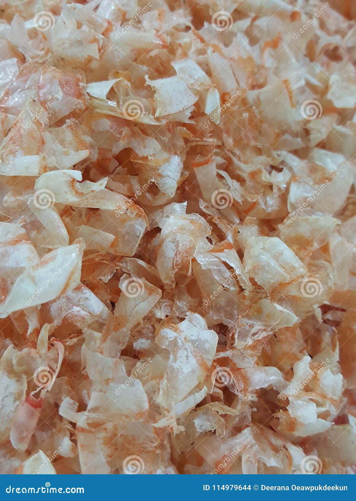 Close Up Shell of Dried Shrimp Stock Photo - Image of process, dish ...
