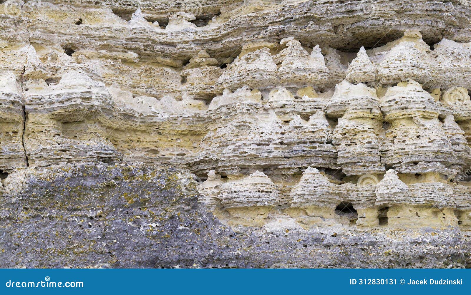 Close-up of Shell Rock Texture. Rough Surface of Coquina Limestone ...