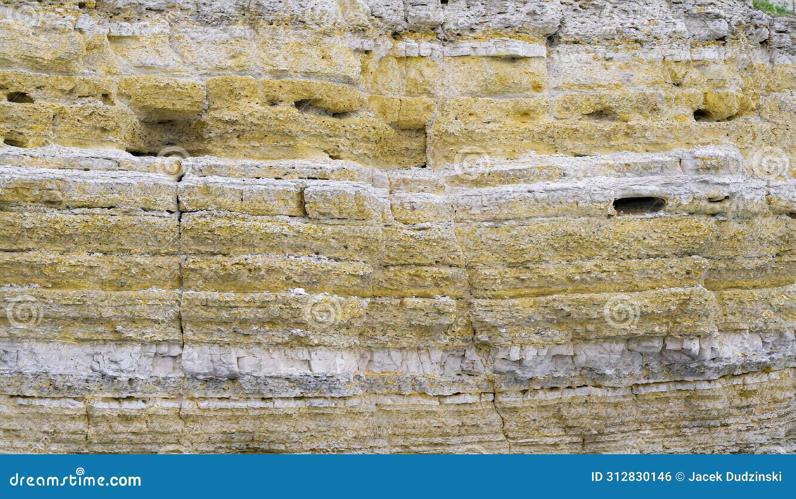 Close-up of Shell Rock Texture. Rough Surface of Coquina Limestone ...