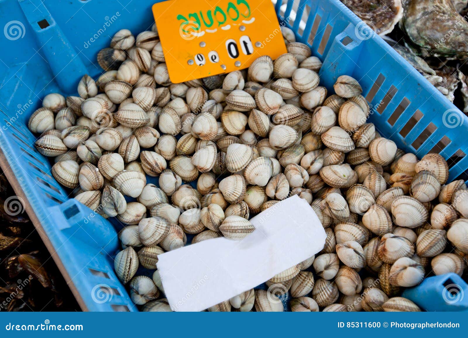 Close-up of Shellfish in Container at Store Stock Photo - Image of ...