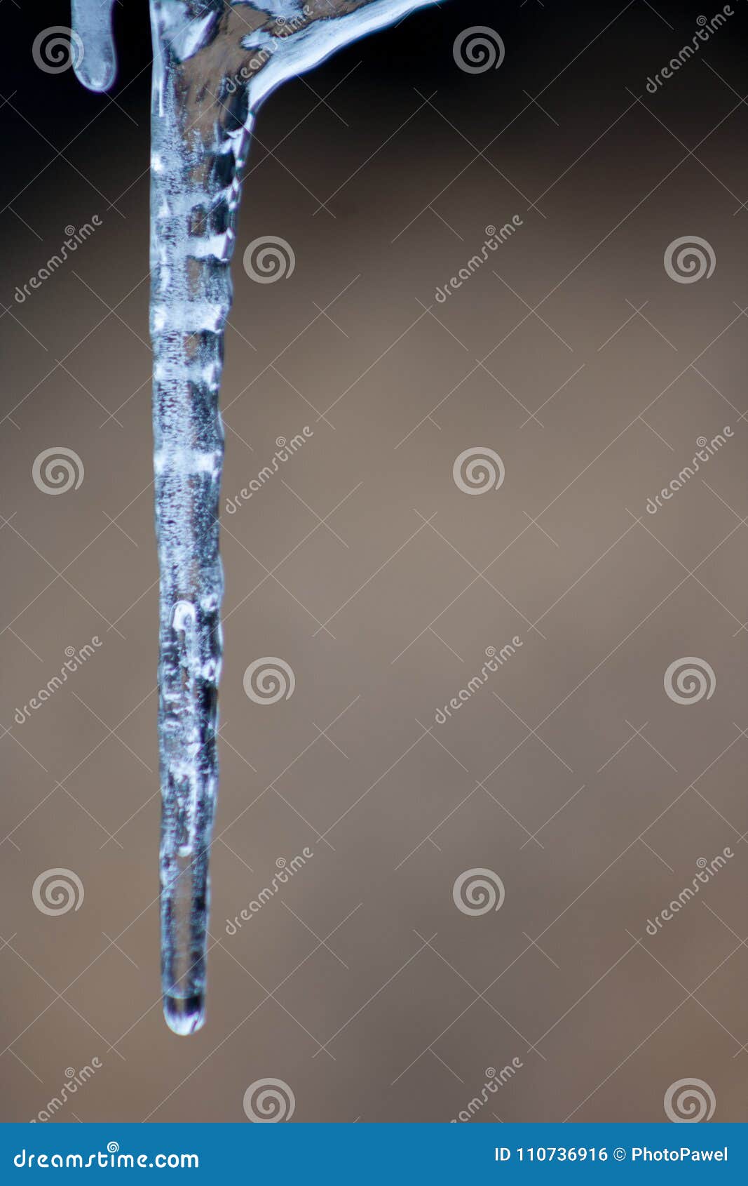 Close up of shiny icicles stock photo. Image of snow - 110736916