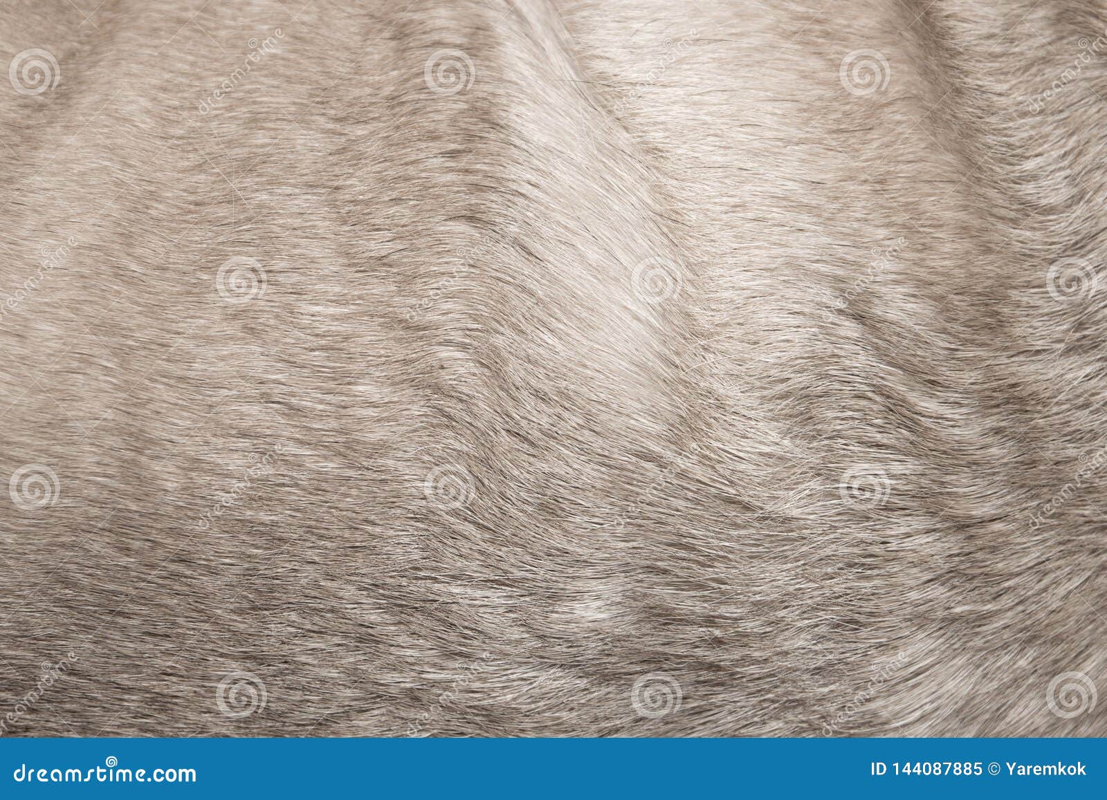 Close Up Shot of Abstract Gray Fur Background Stock Image - Image of ...