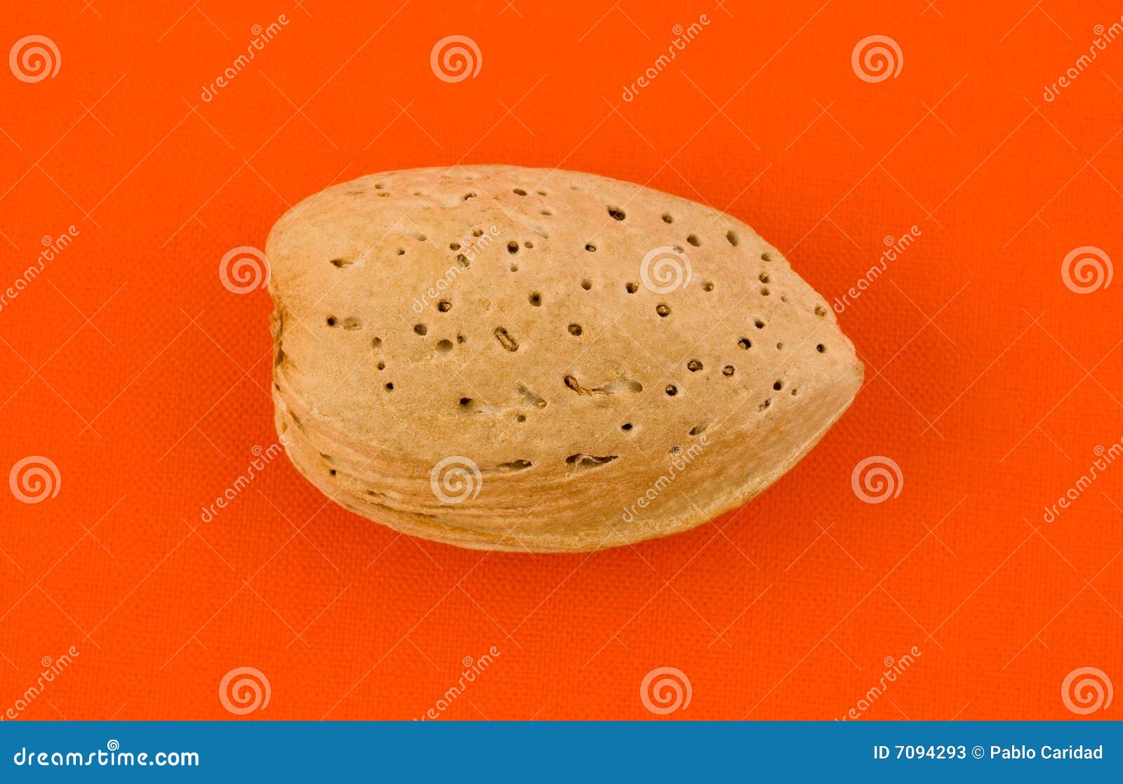 Close Up Shot of an Almond. Stock Image - Image of shot, tropical: 7094293