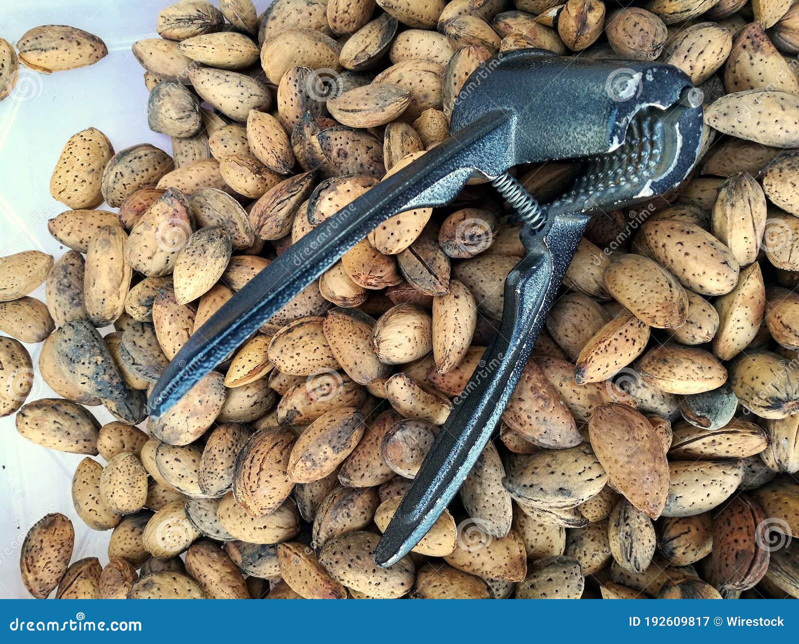 Close Up Shot of Almonds and an Almond Breaker Stock Image - Image of ...