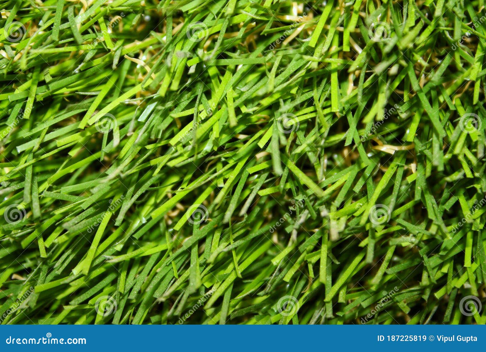 A Close Up Shot of an Artificial Grass Carpet Affixed on Floor . Stock ...