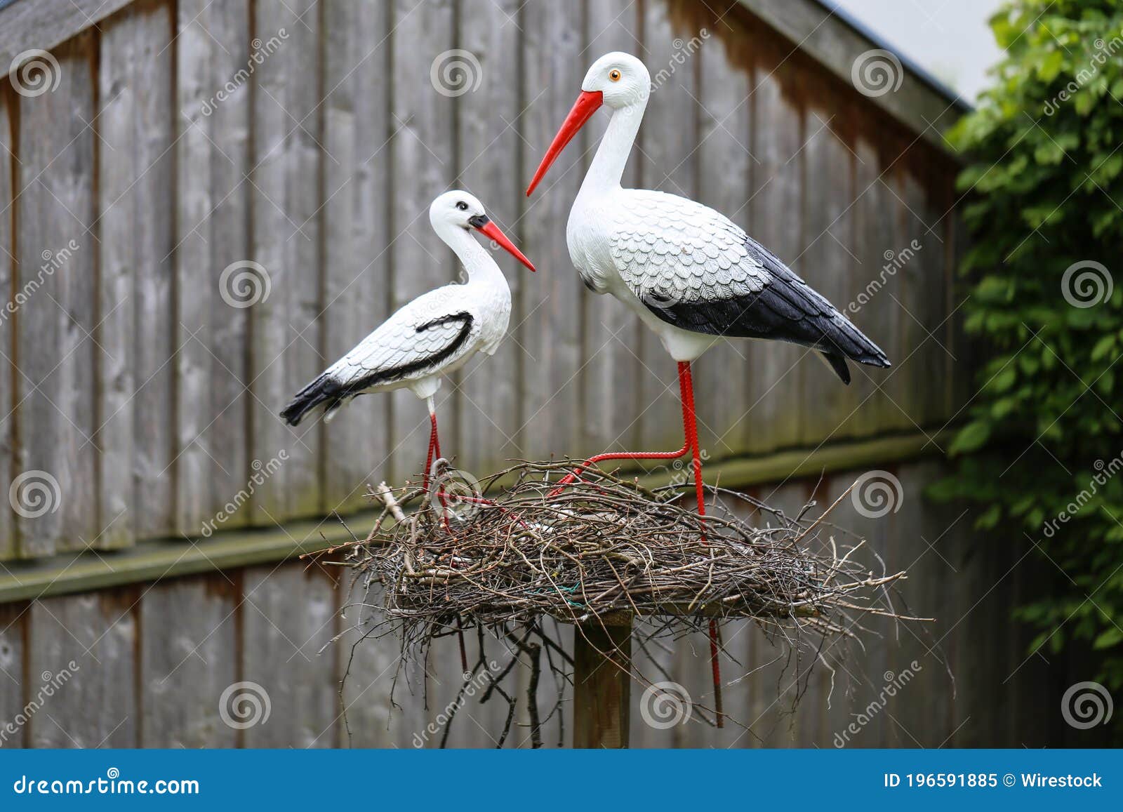 Close Up Shot of Artificial White Storks Stock Image - Image of animal ...