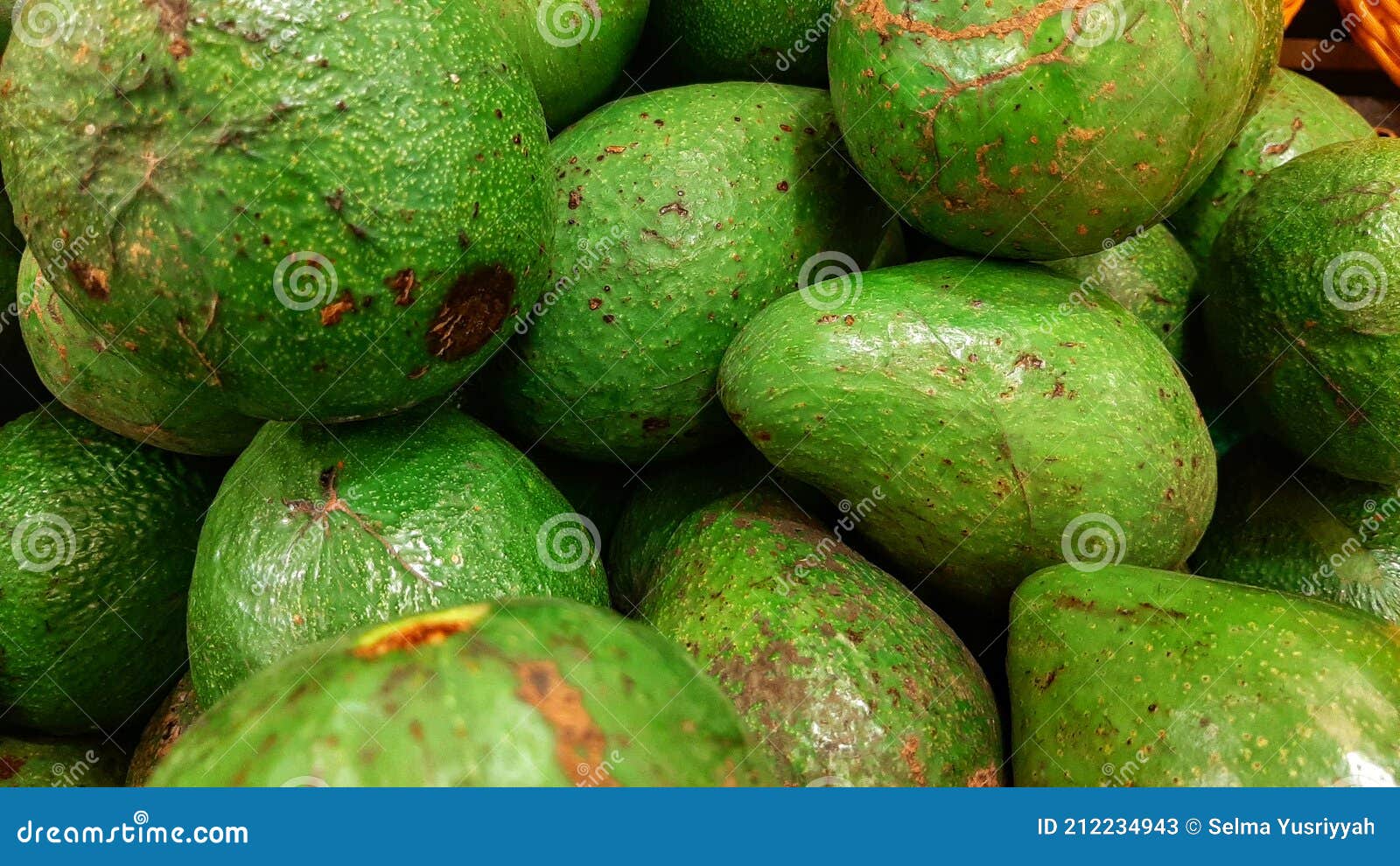 Close-up shot of avocados stock image. Image of avocado - 212234943