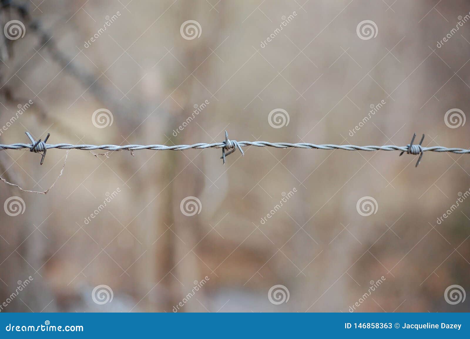 Close-up Shot of a Barbed Wire Fence Stock Image - Image of farmland ...