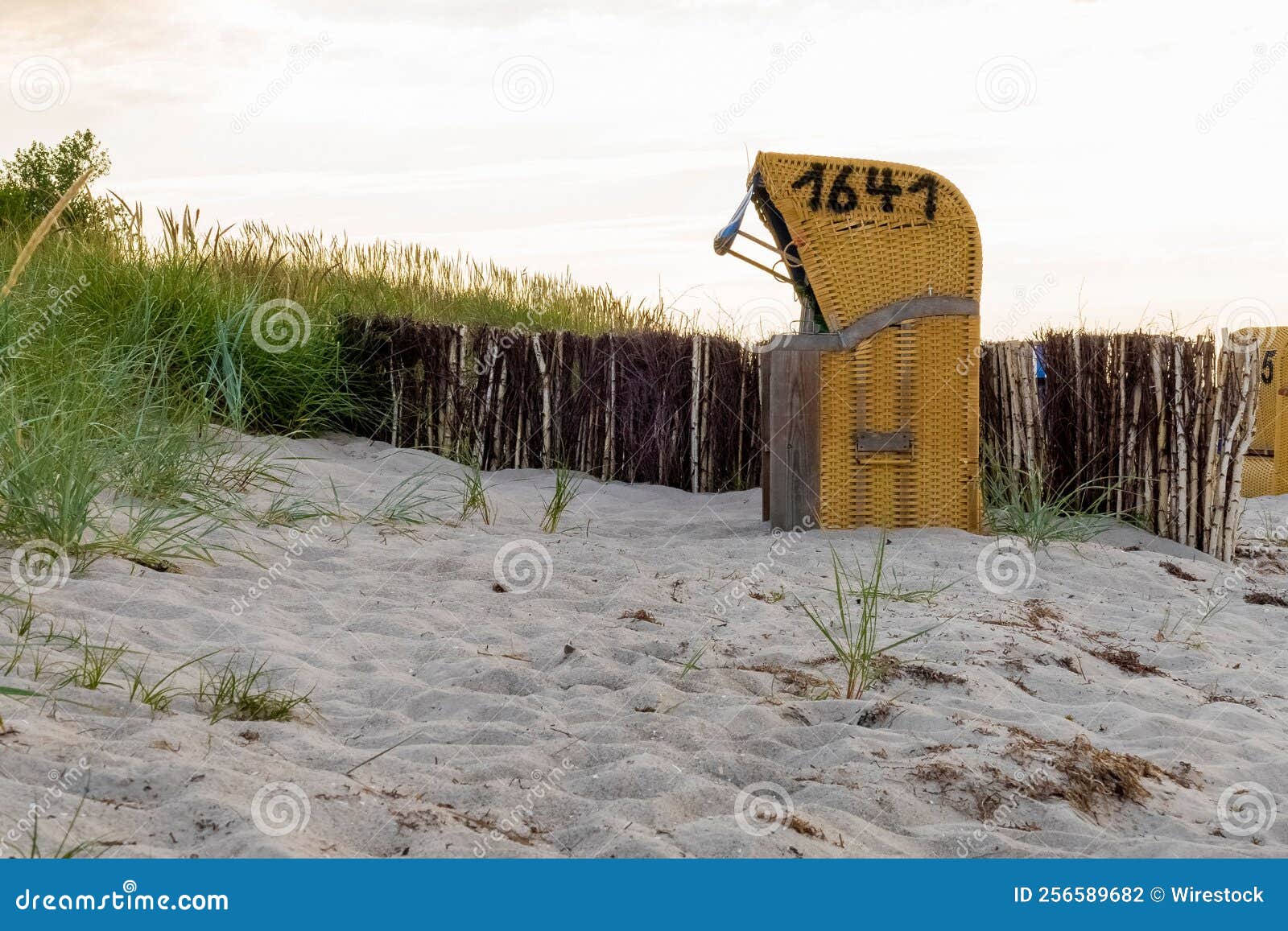 Close-up Shot of Beach Box on the Sand Stock Photo - Image of season ...