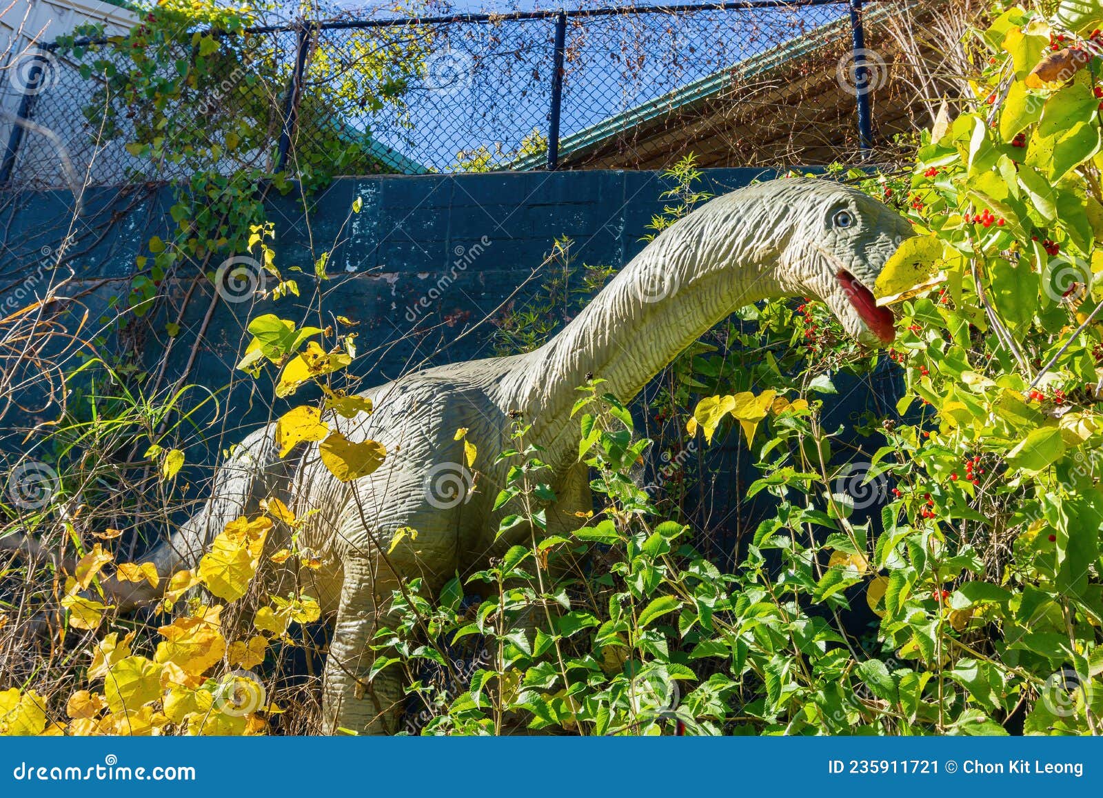 Bellusaurus Stock Photos - Free & Royalty-Free Stock Photos from Dreamstime