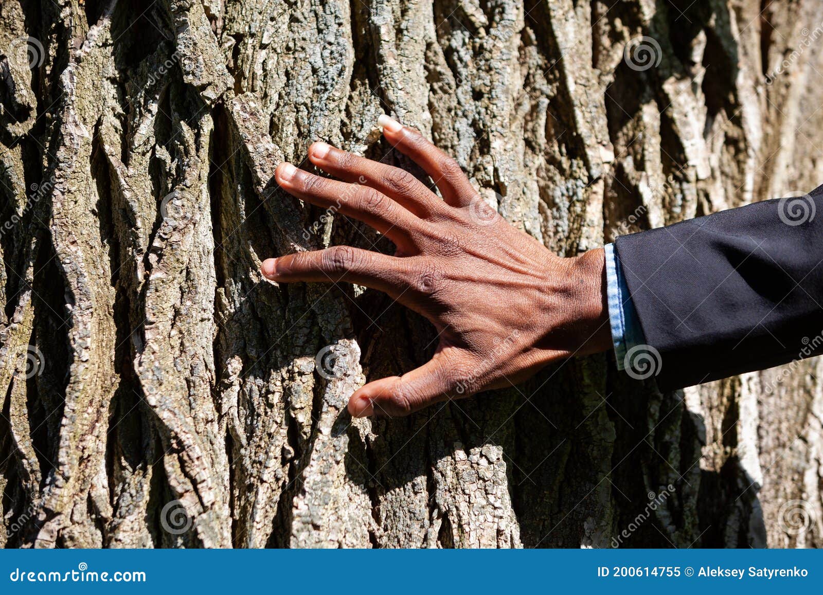 Close Up Shot of a Black Man Hand Touching a Tree Stock Image - Image ...