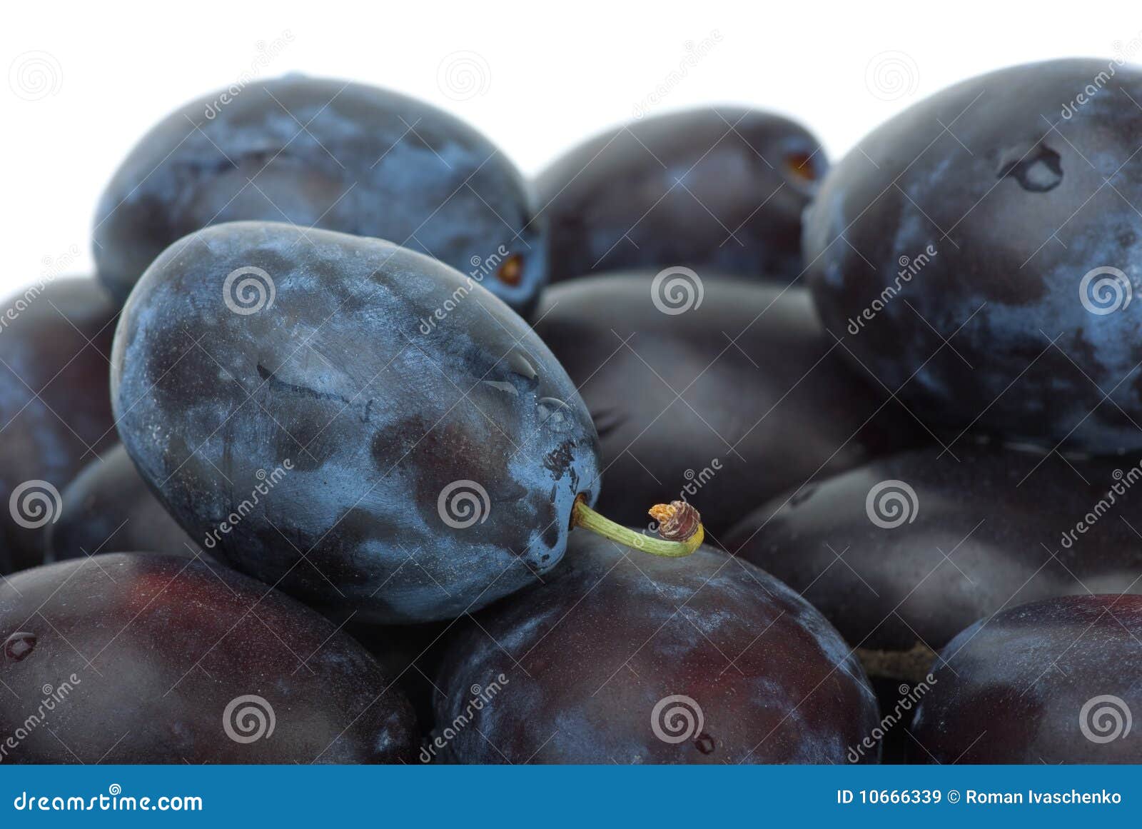 Close-up Shot of Blue Plums Stock Image - Image of plum, close: 10666339